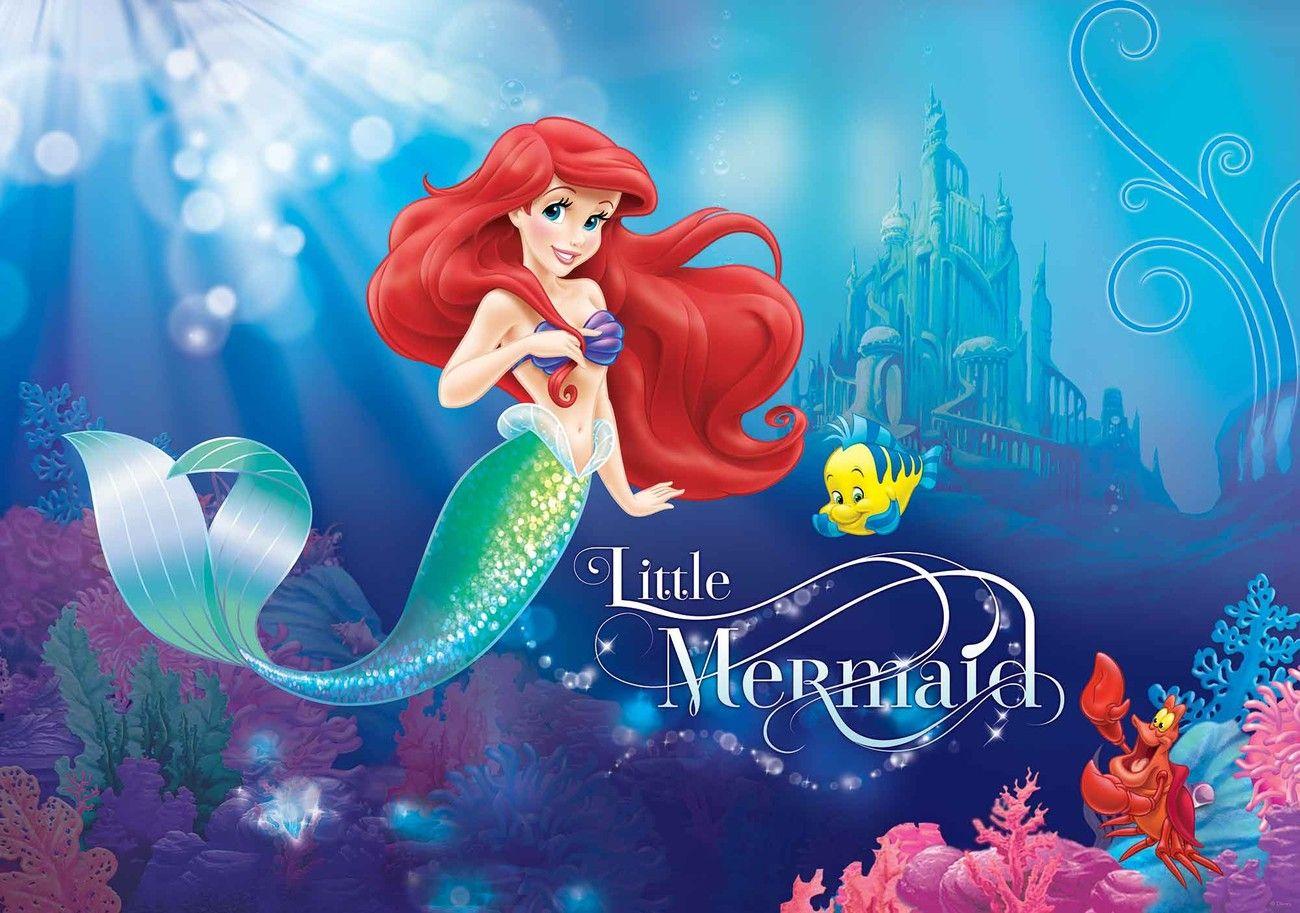 Princess Ariel Wallpapers - Top Free Princess Ariel Backgrounds ...