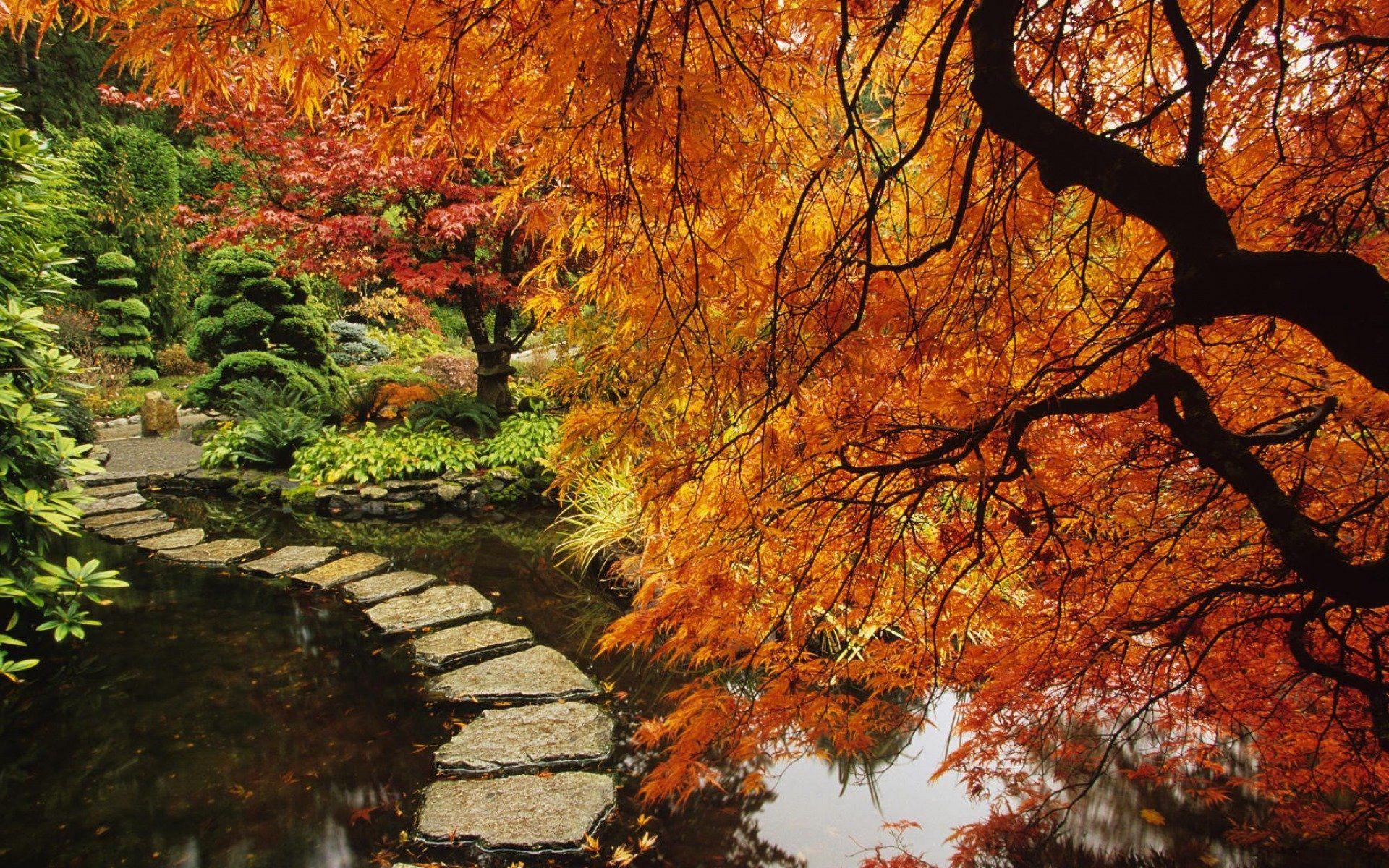 Japanese Autumn Wallpapers - Top Free Japanese Autumn Backgrounds ...