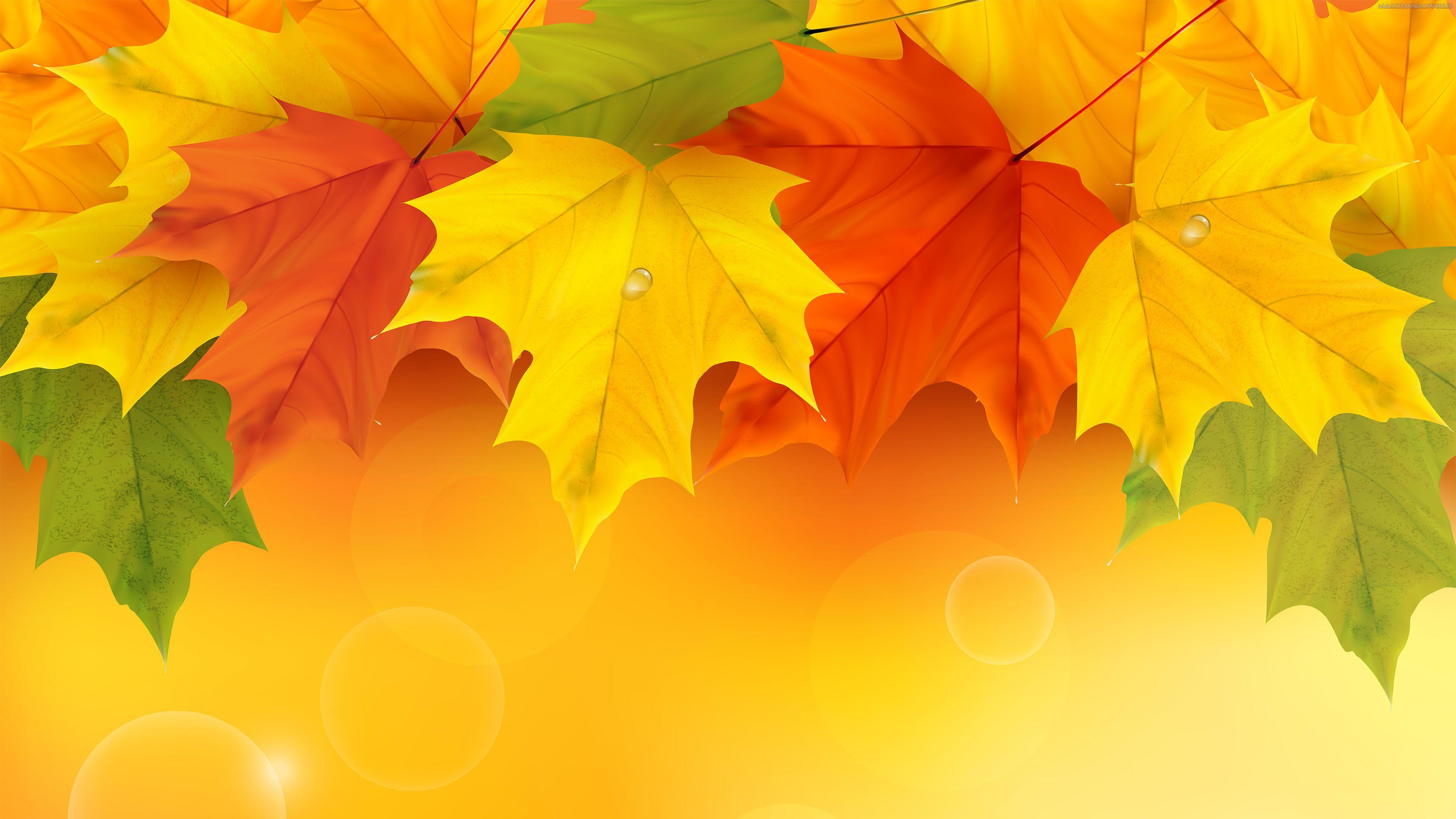 Simple Autumn Desktop Wallpapers - Top Free Simple Autumn Desktop ...