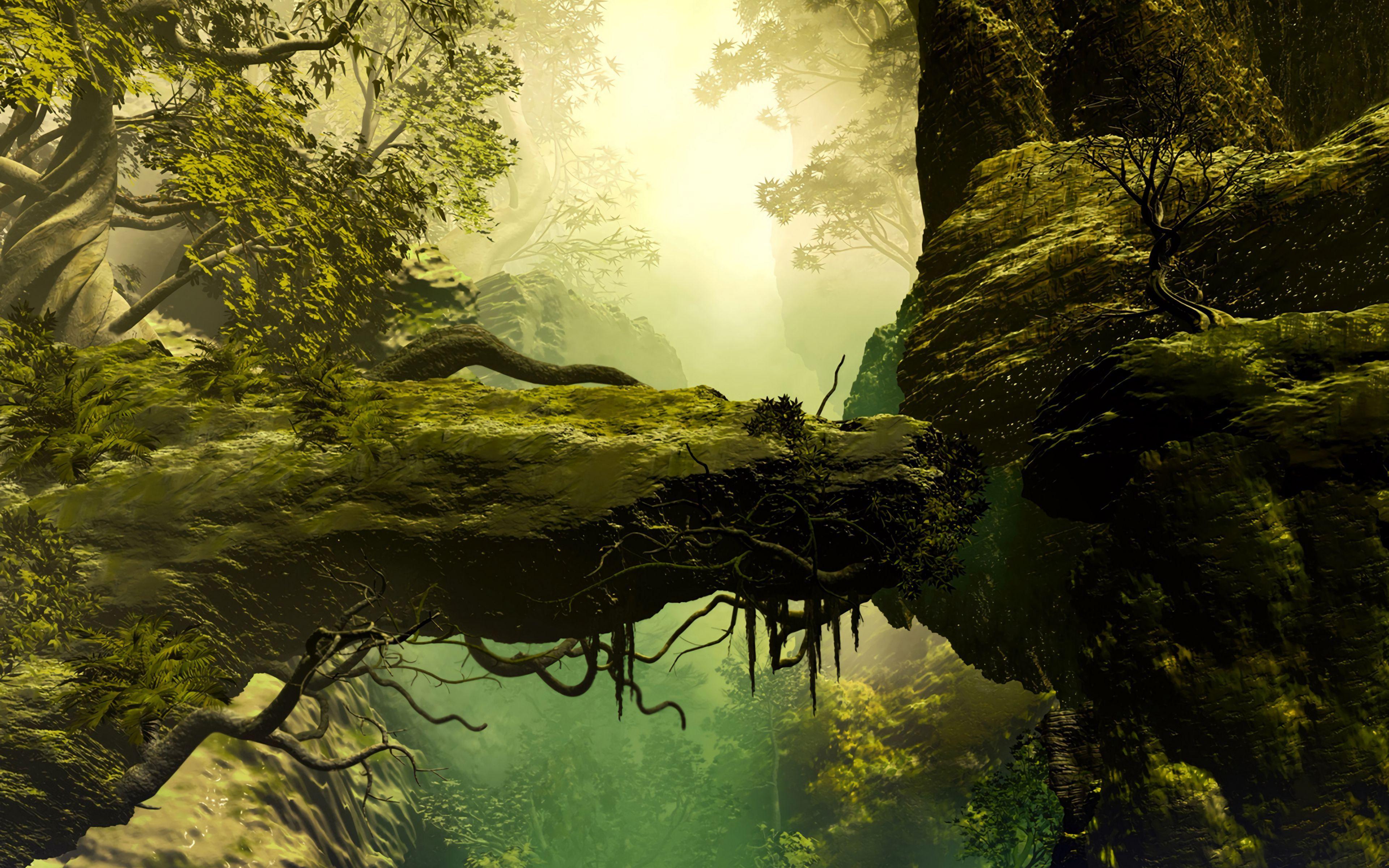 Realism Wallpapers - Top Free Realism Backgrounds - WallpaperAccess