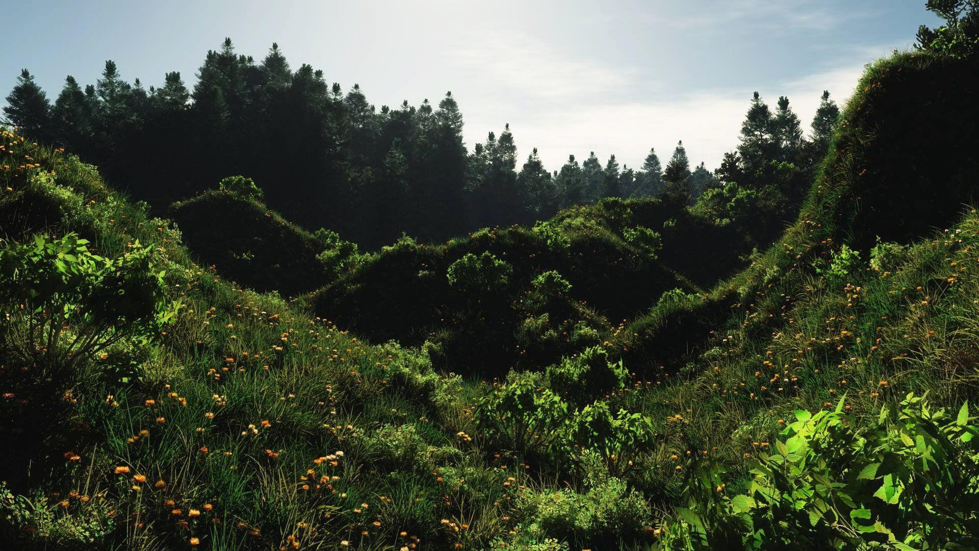 Realism Wallpapers - Top Free Realism Backgrounds - WallpaperAccess