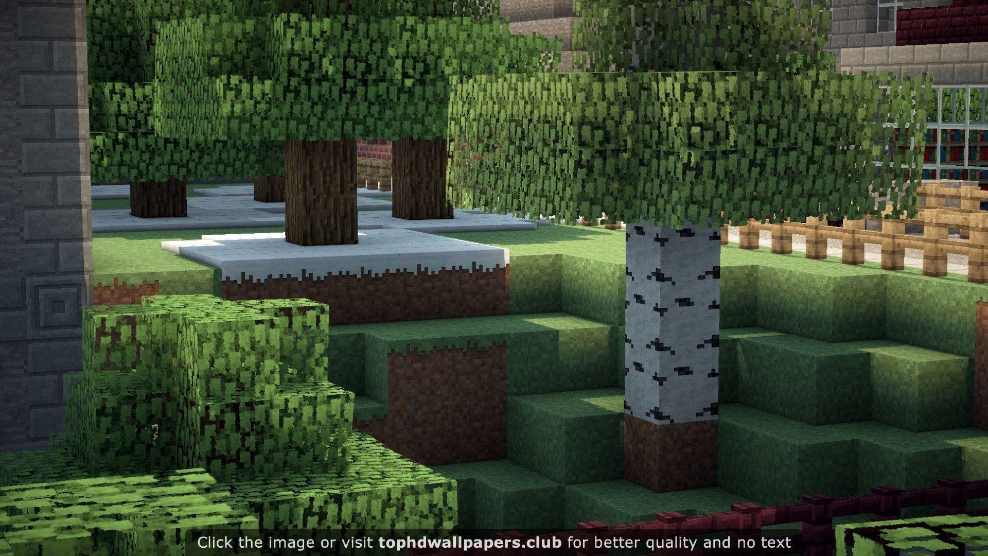 Realism Wallpapers - Top Free Realism Backgrounds - WallpaperAccess