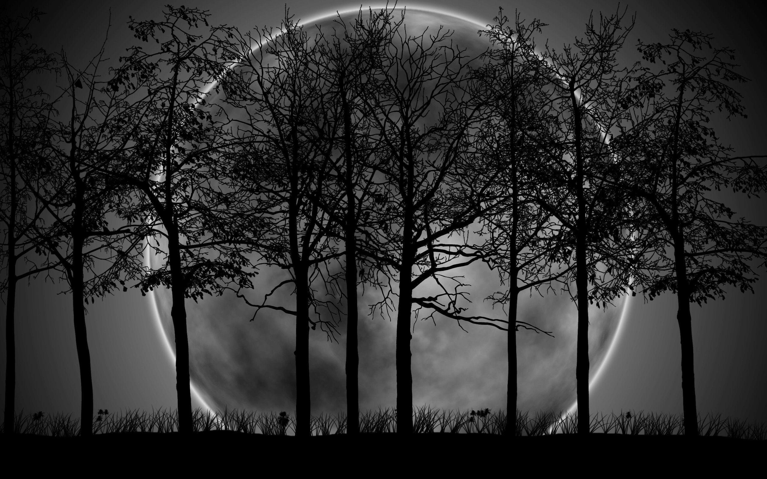 Full Moon Forest Wallpapers - Top Free Full Moon Forest Backgrounds ...