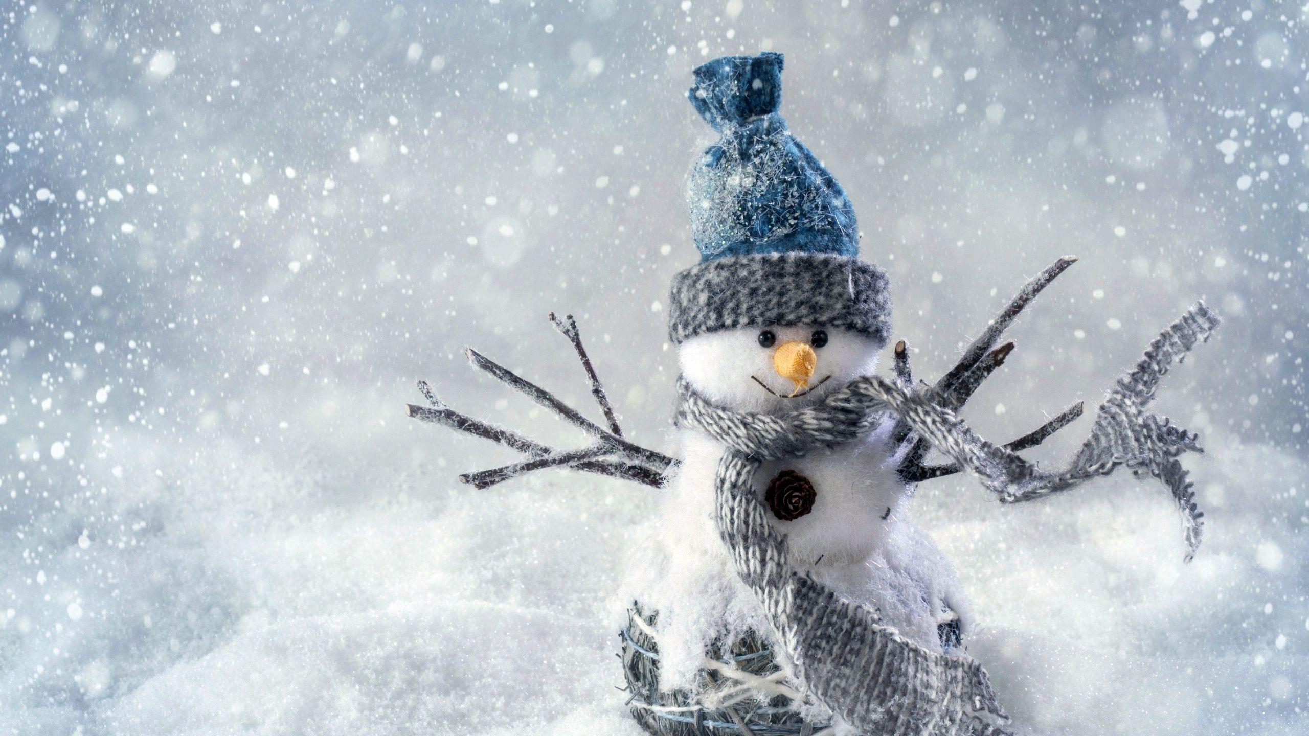 Winter Snowman Wallpapers - Top Free Winter Snowman Backgrounds ...