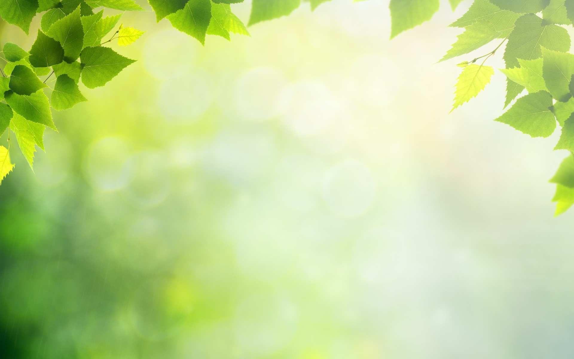 Ayurveda Wallpapers Top Nh ng H nh nh p