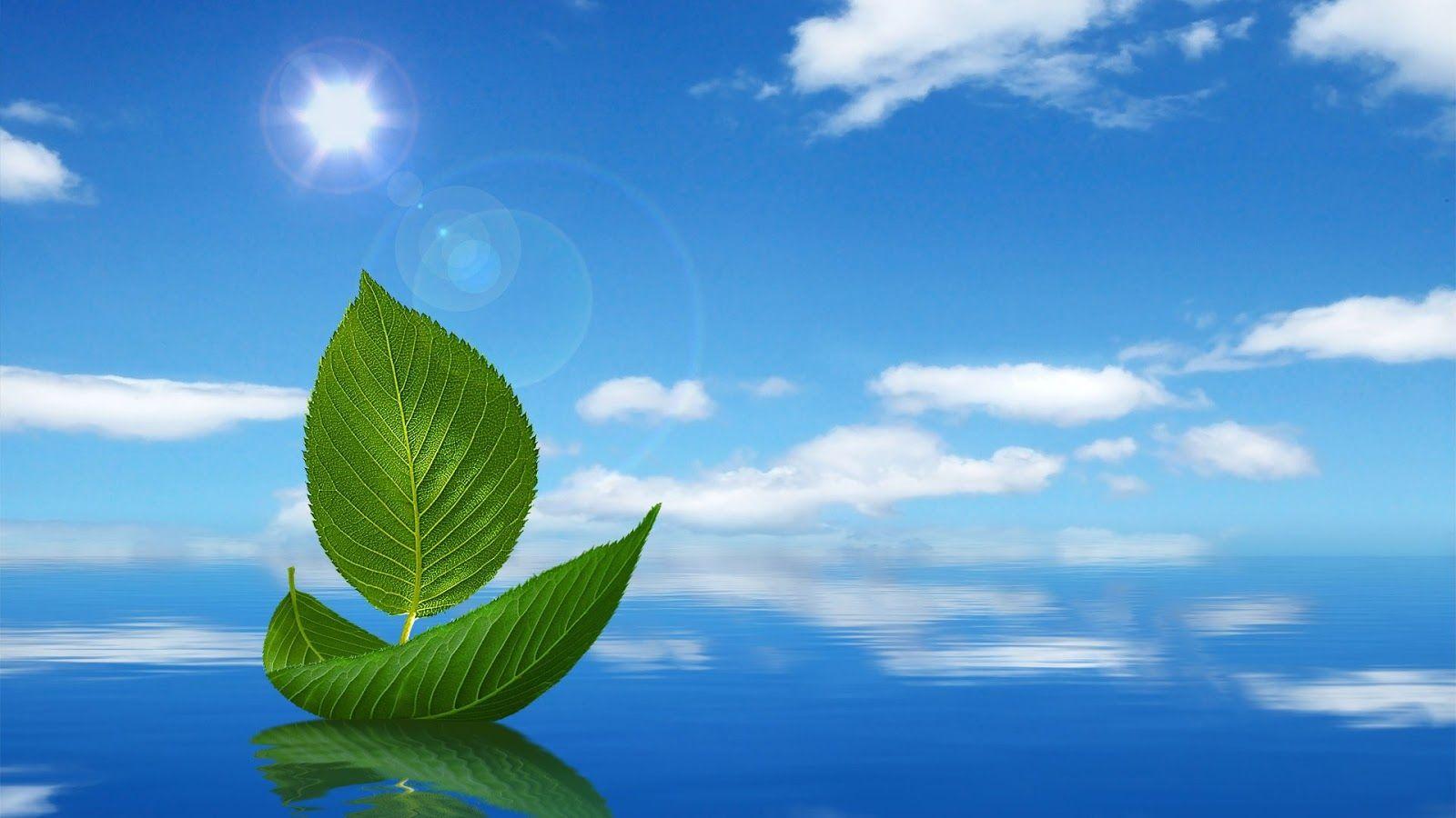 Blue Nature HD Wallpapers - Top Free Blue Nature HD Backgrounds ...