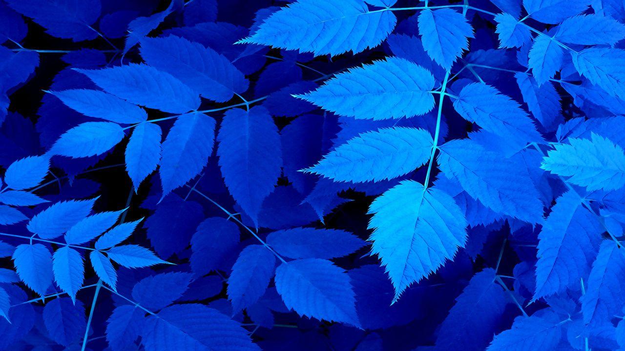 Blue Nature HD Wallpapers - Top Free Blue Nature HD Backgrounds ...