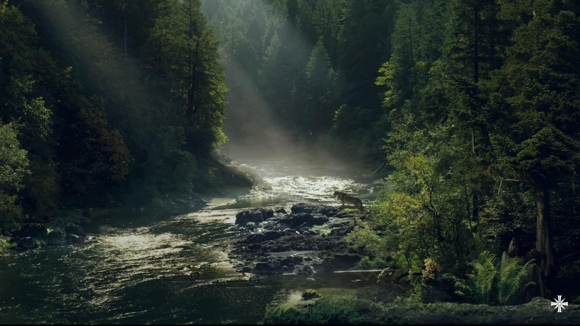 Far Cry 4K Wallpapers - Top Free Far Cry 4K Backgrounds - WallpaperAccess