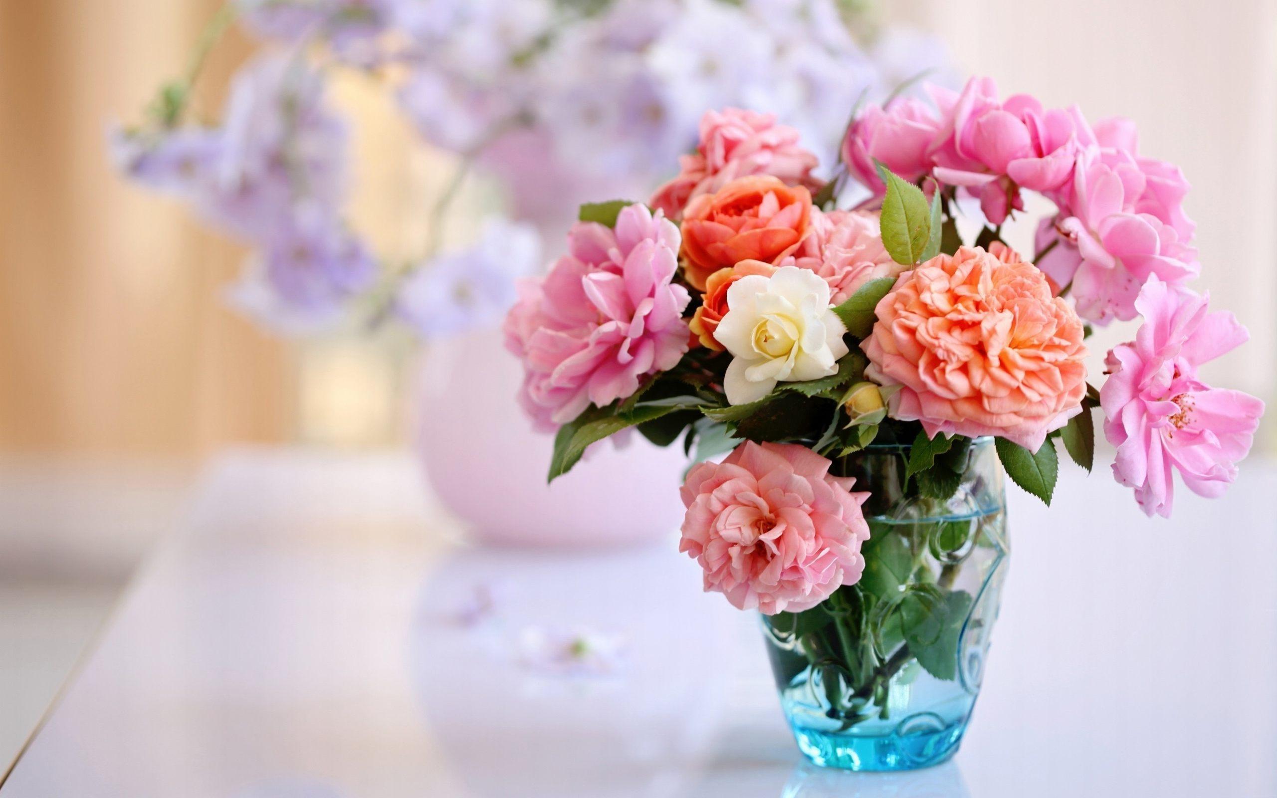 Flowers Nature Wallpapers - Top Free Flowers Nature Backgrounds ...