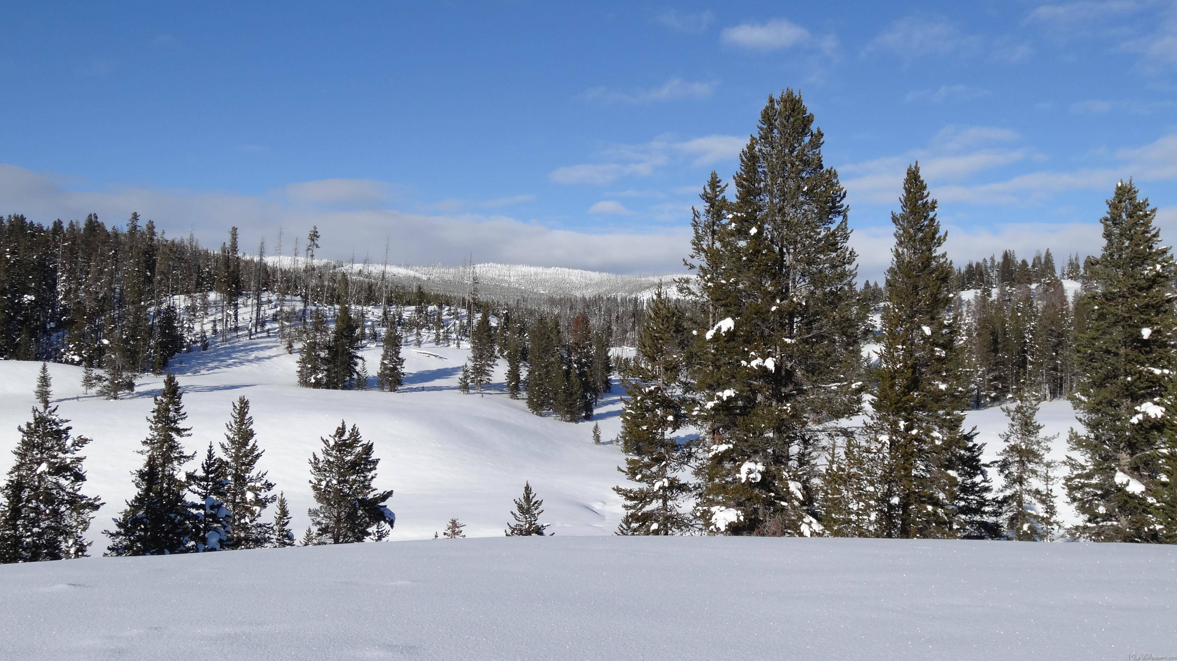 Yellowstone Winter Wallpapers - Top Free Yellowstone Winter Backgrounds ...