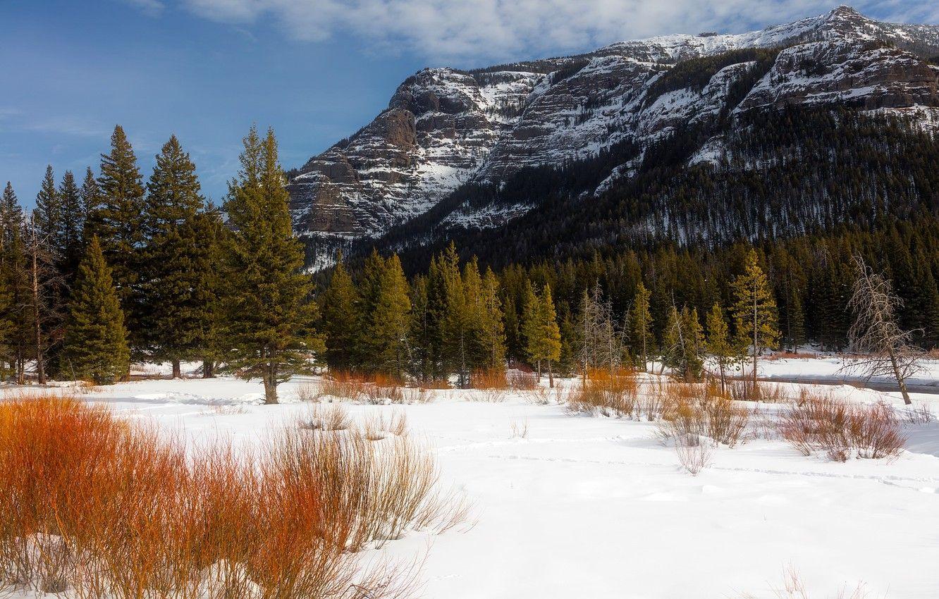 Yellowstone Winter Wallpapers - Top Free Yellowstone Winter Backgrounds ...