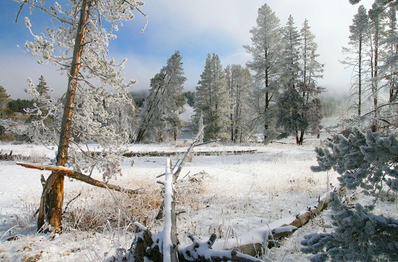 Yellowstone Winter Wallpapers - Top Free Yellowstone Winter Backgrounds ...