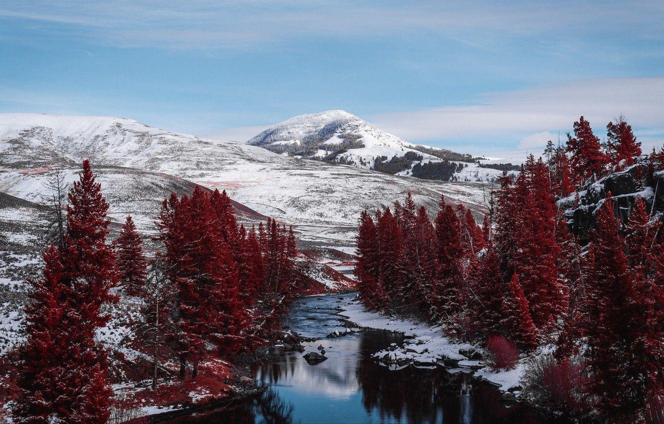 Yellowstone Winter Wallpapers - Top Free Yellowstone Winter Backgrounds ...