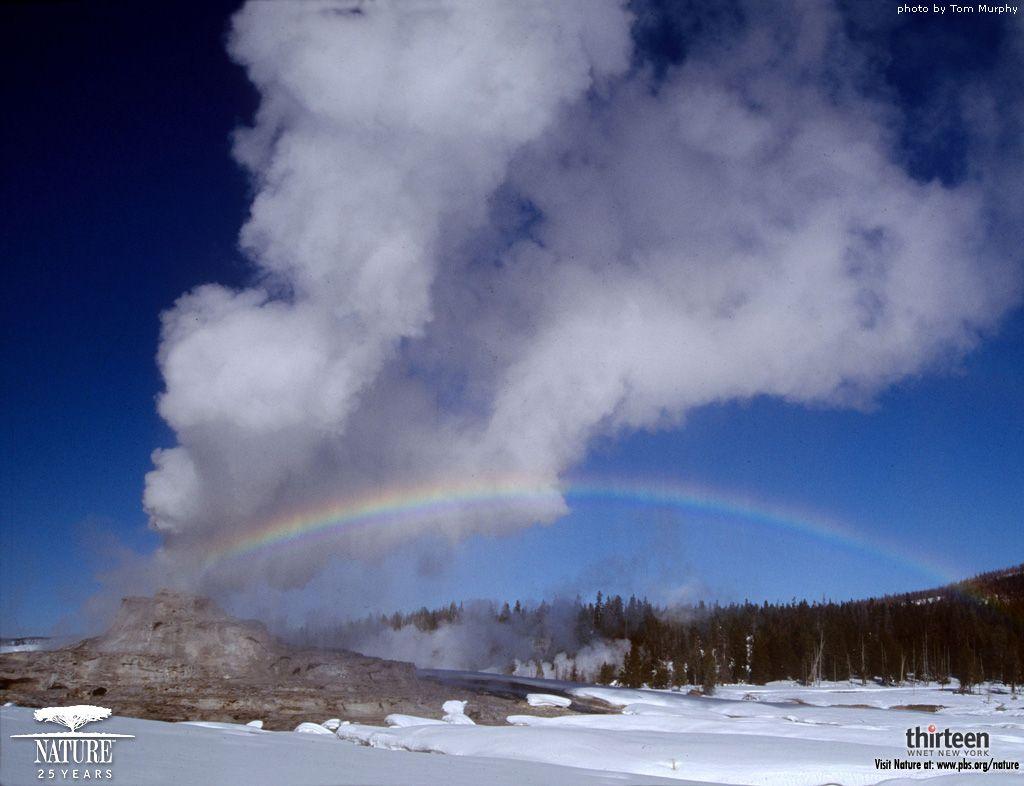 Yellowstone Winter Wallpapers - Top Free Yellowstone Winter Backgrounds ...