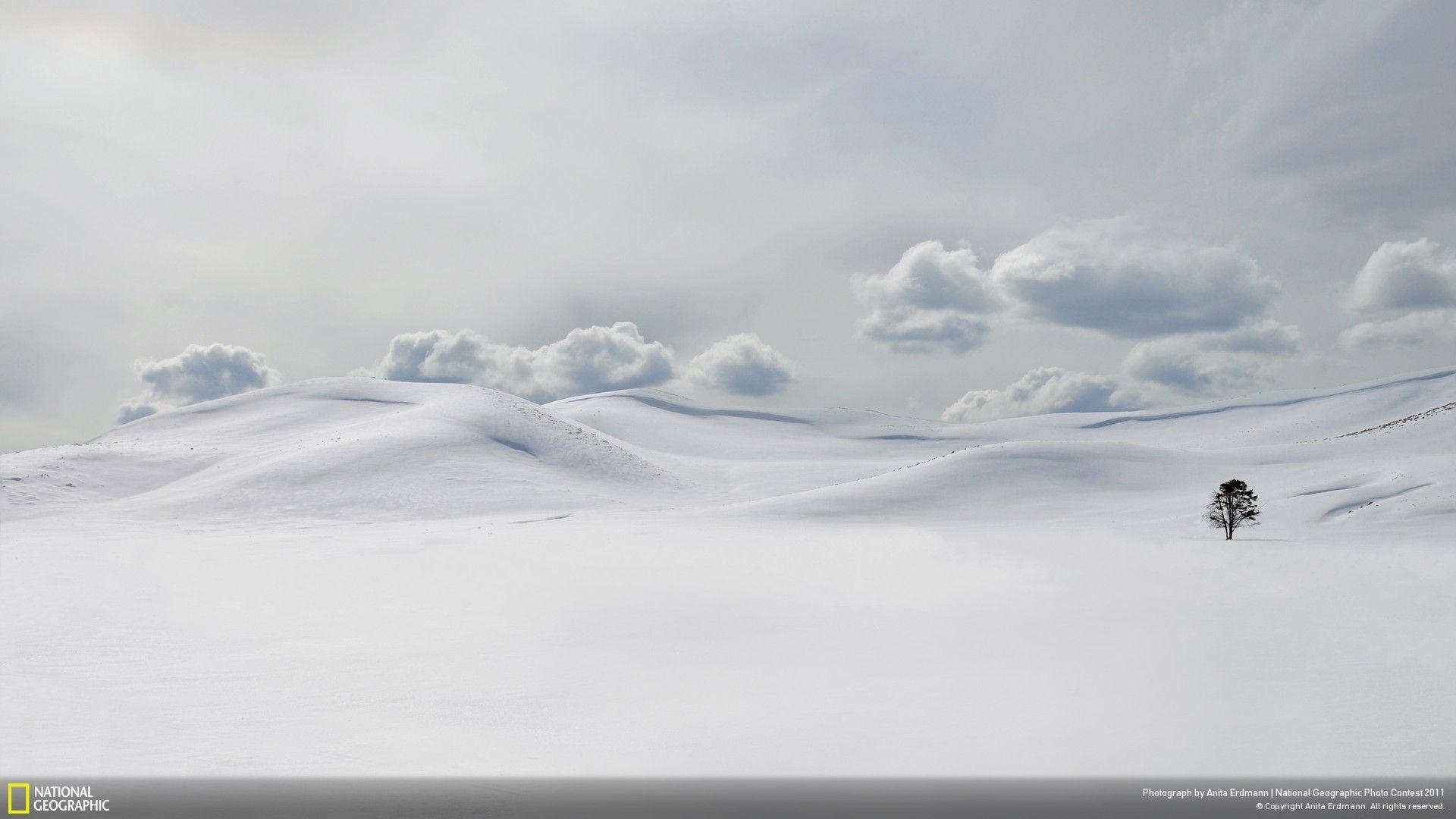 Yellowstone Winter Wallpapers - Top Free Yellowstone Winter Backgrounds ...