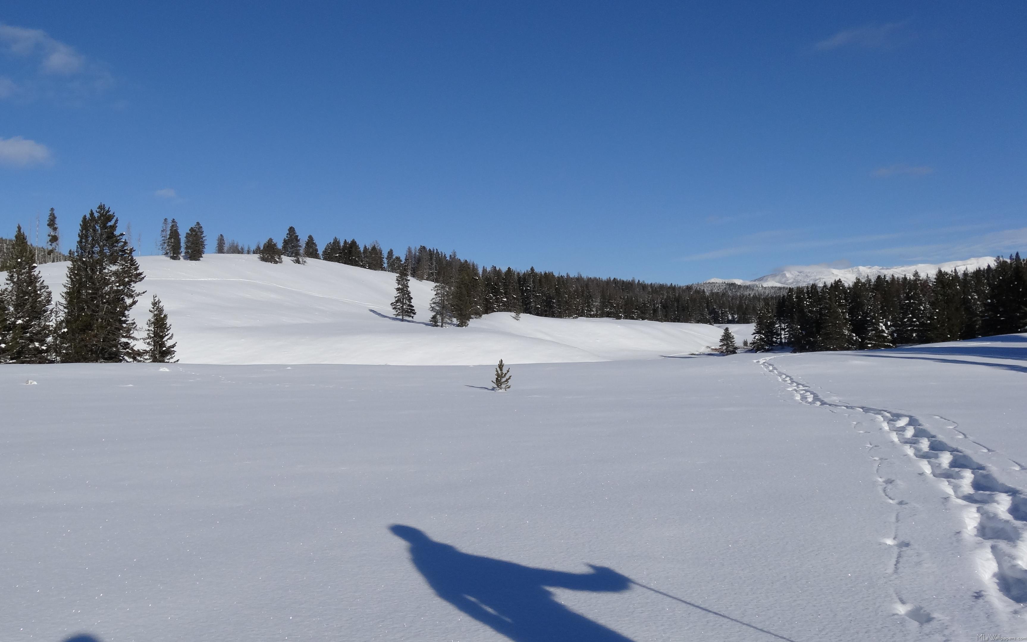Yellowstone Winter Wallpapers - Top Free Yellowstone Winter Backgrounds ...