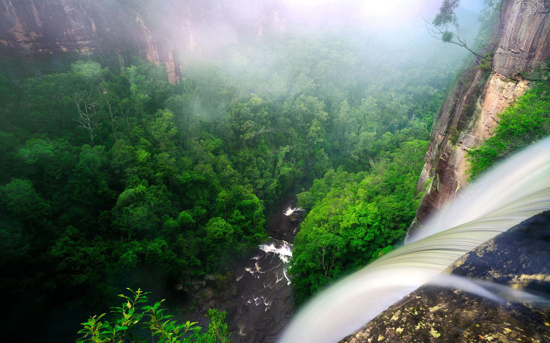Rainforest HD Wallpapers - Top Free Rainforest HD Backgrounds ...