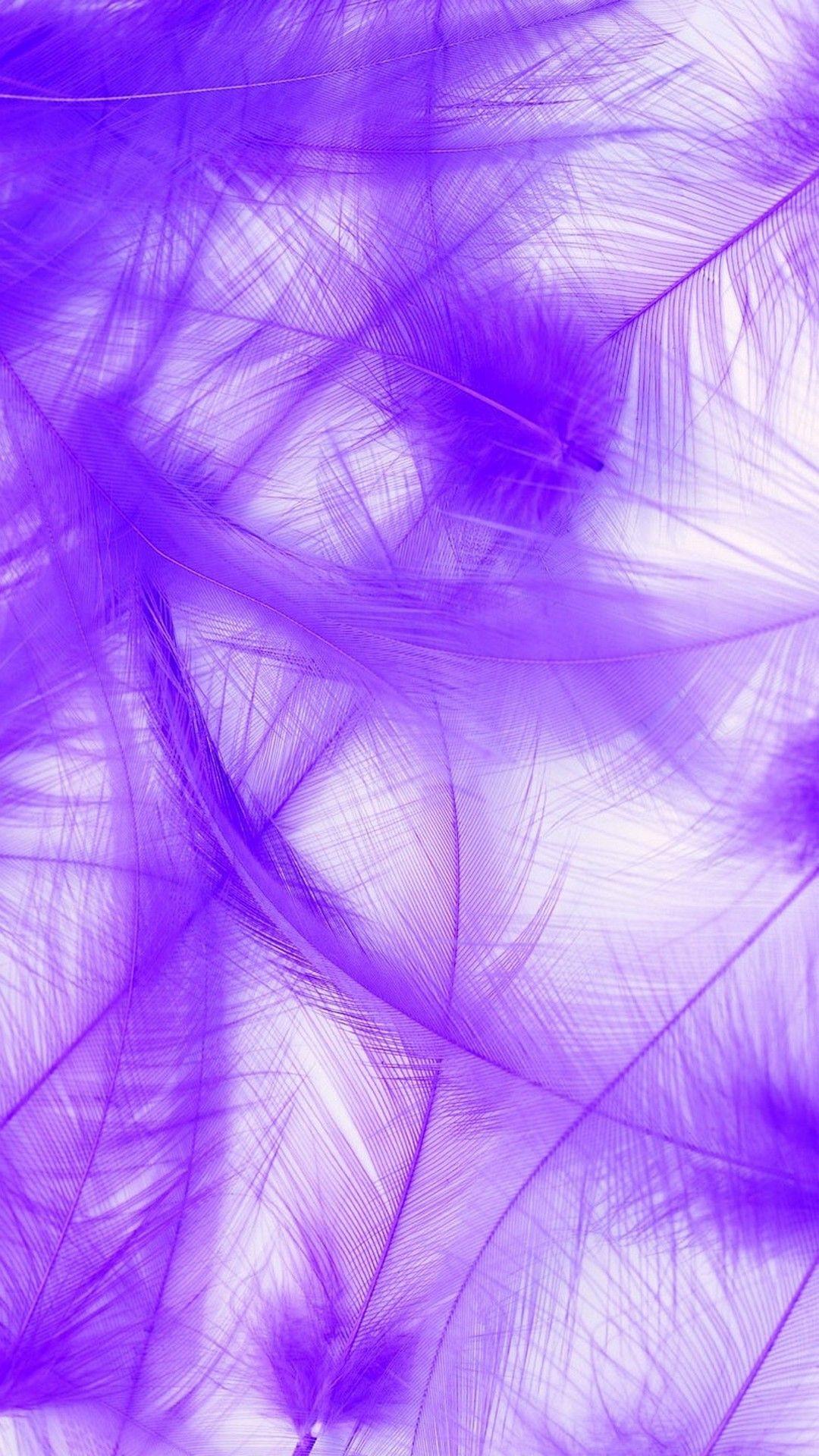 Purple Feathers Wallpapers - Top Free Purple Feathers Backgrounds ...