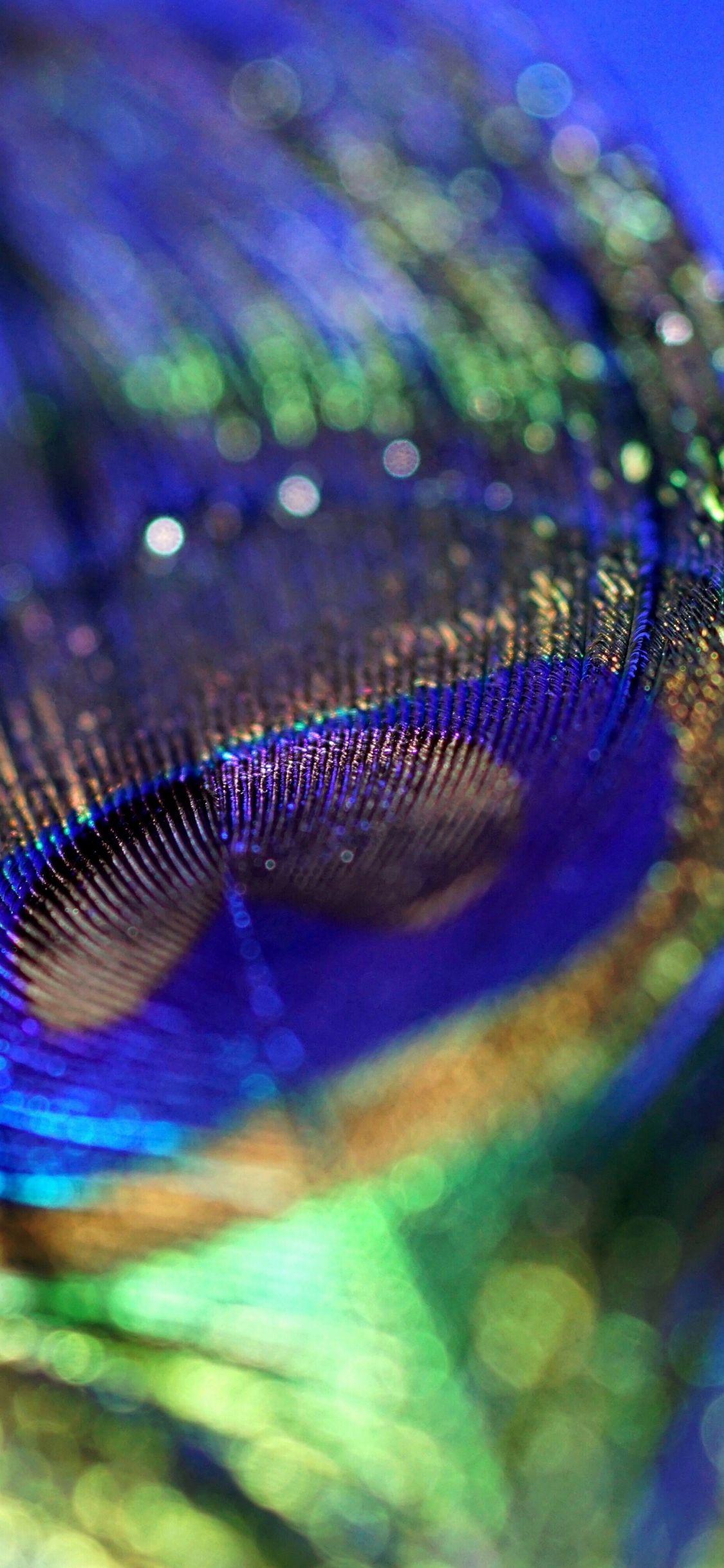 Feather iPhone Wallpapers - Top Free Feather iPhone Backgrounds ...