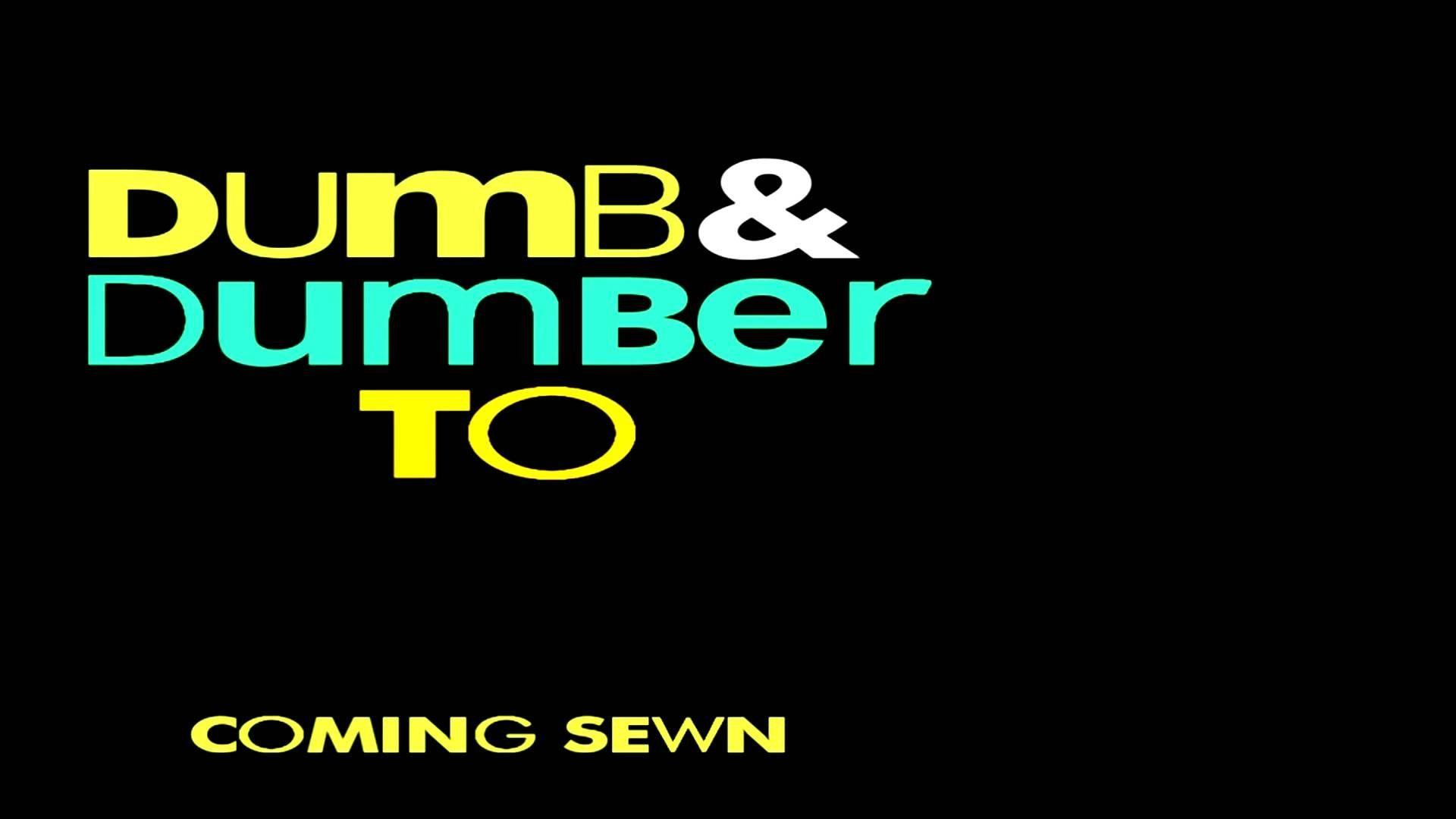 Dumb Wallpapers - Top Free Dumb Backgrounds - WallpaperAccess