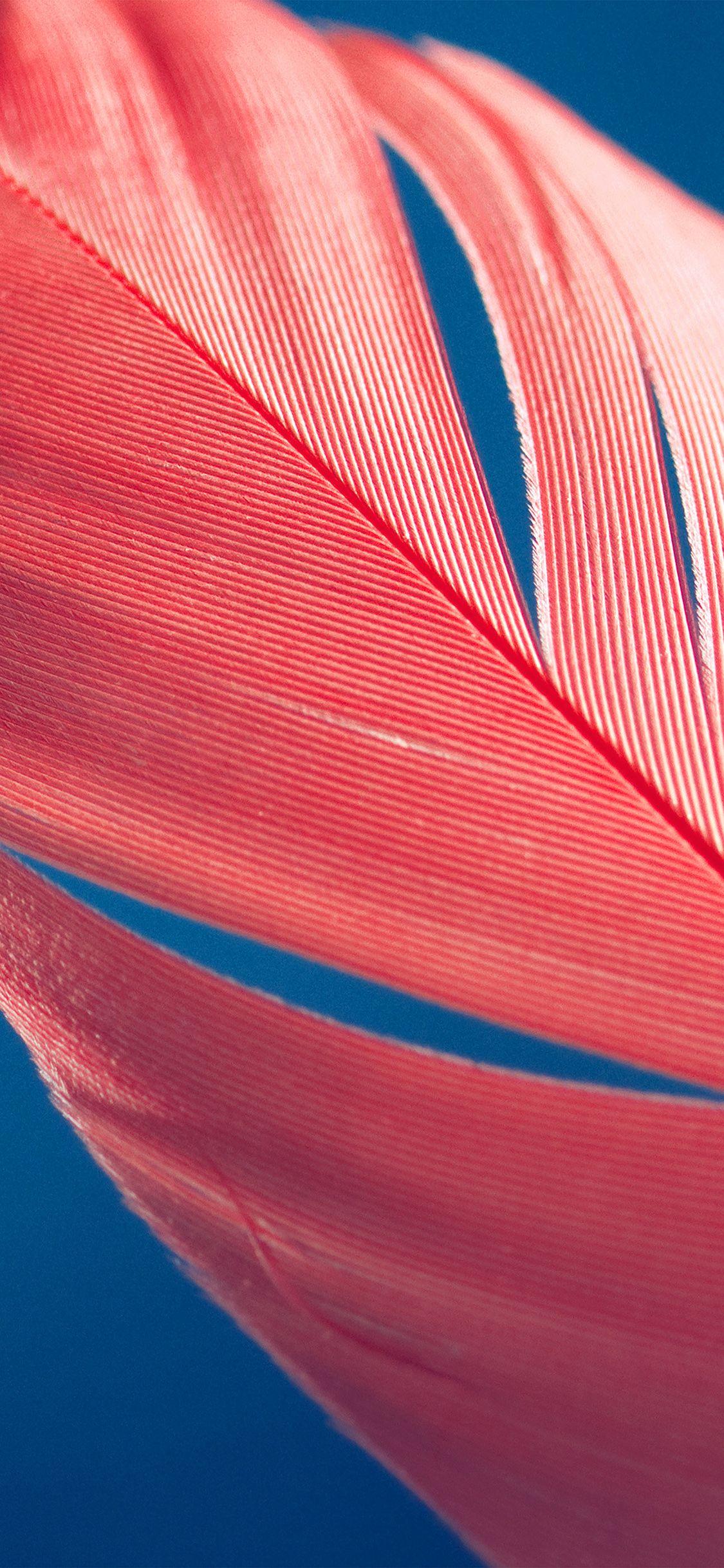 Feather iPhone Wallpapers - Top Free Feather iPhone Backgrounds ...