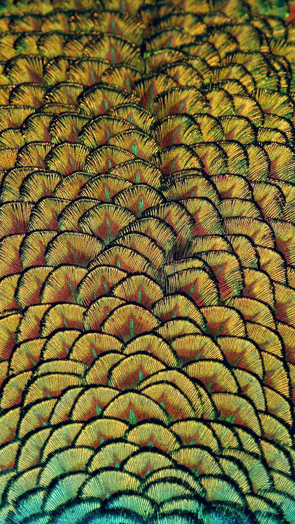 Feather iPhone Wallpapers - Top Free Feather iPhone Backgrounds ...
