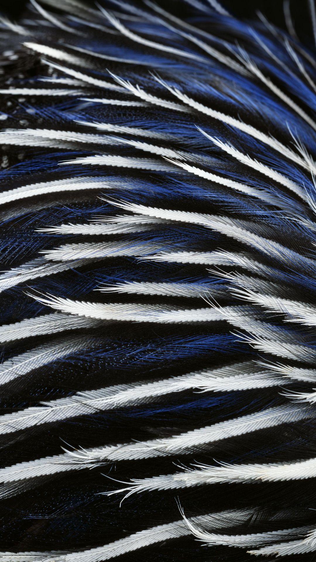 Feather iPhone Wallpapers - Top Free Feather iPhone Backgrounds ...