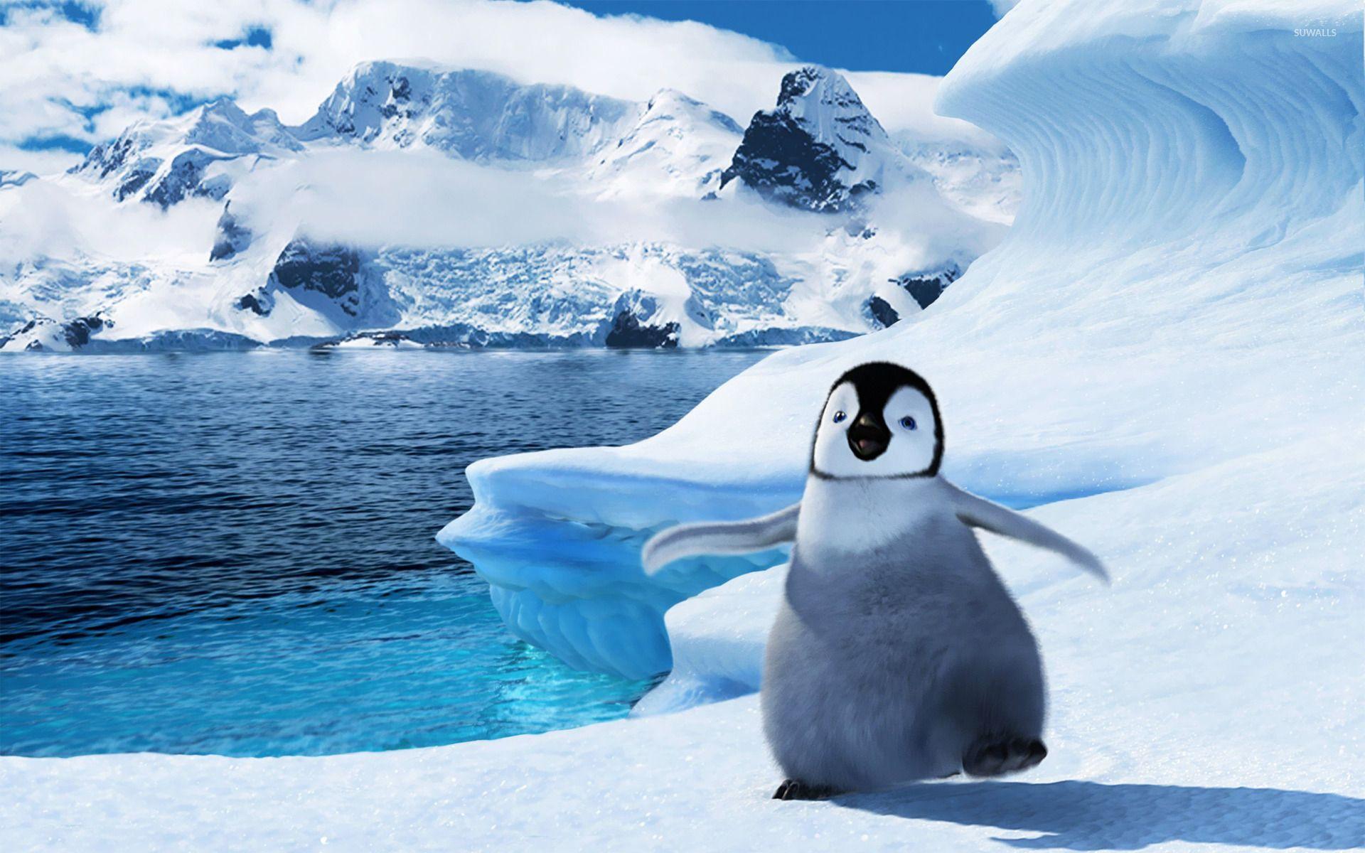 Happy Feet Wallpapers - Top Free Happy Feet Backgrounds - WallpaperAccess