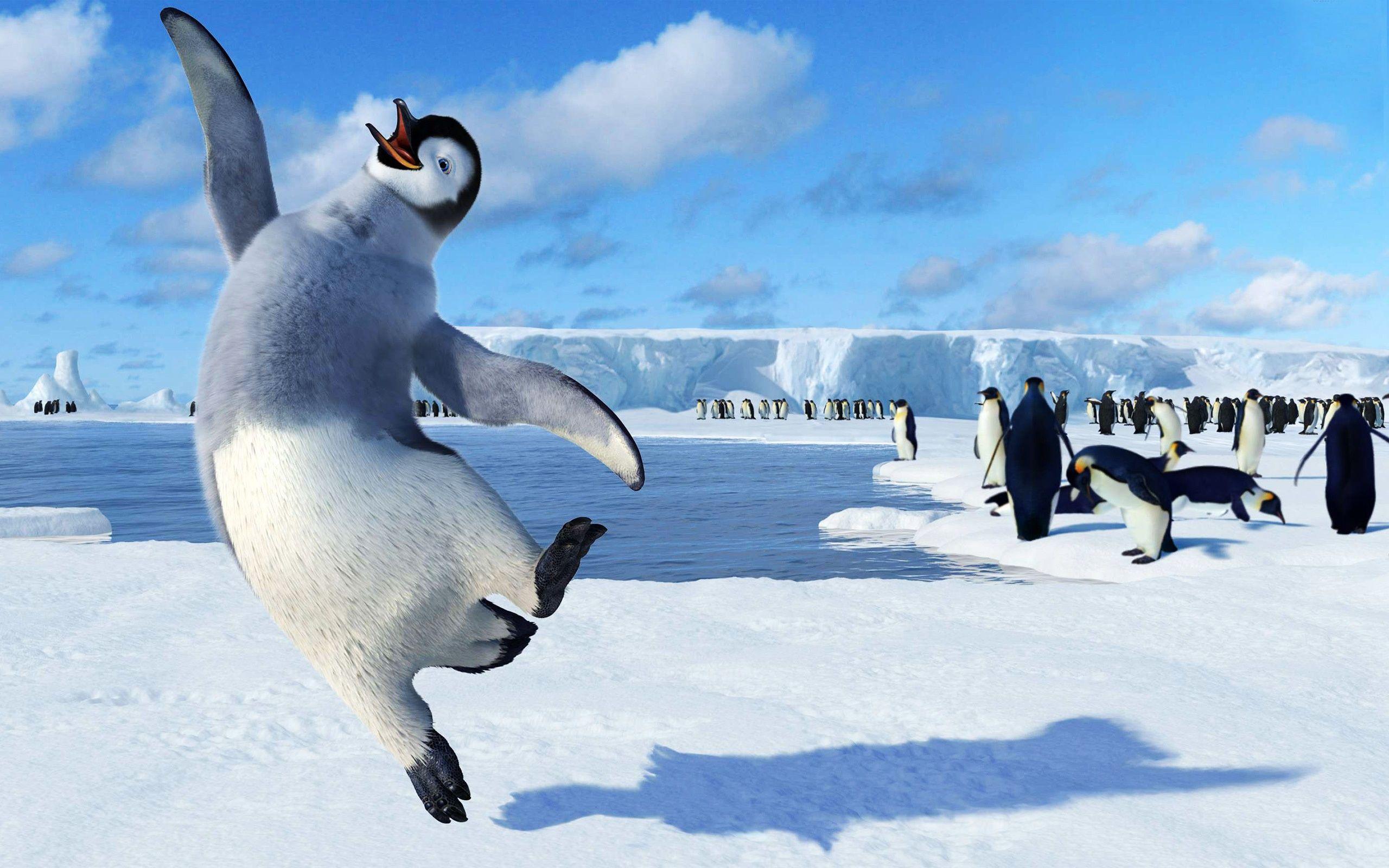 Happy Feet Wallpapers - Top Free Happy Feet Backgrounds - WallpaperAccess