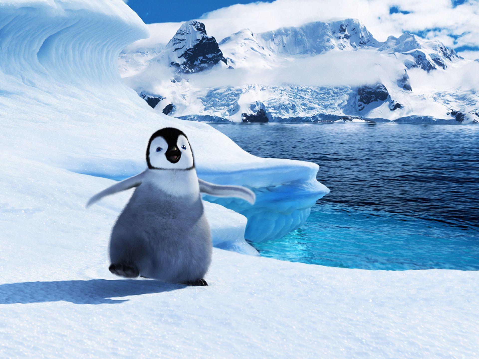 Happy Feet Wallpapers - Top Free Happy Feet Backgrounds - WallpaperAccess