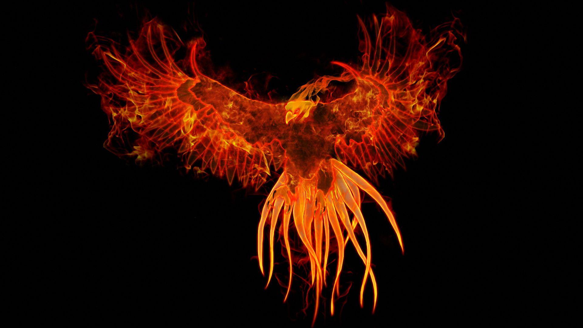Phoenix Desktop Wallpapers - Top Free Phoenix Desktop Backgrounds ...
