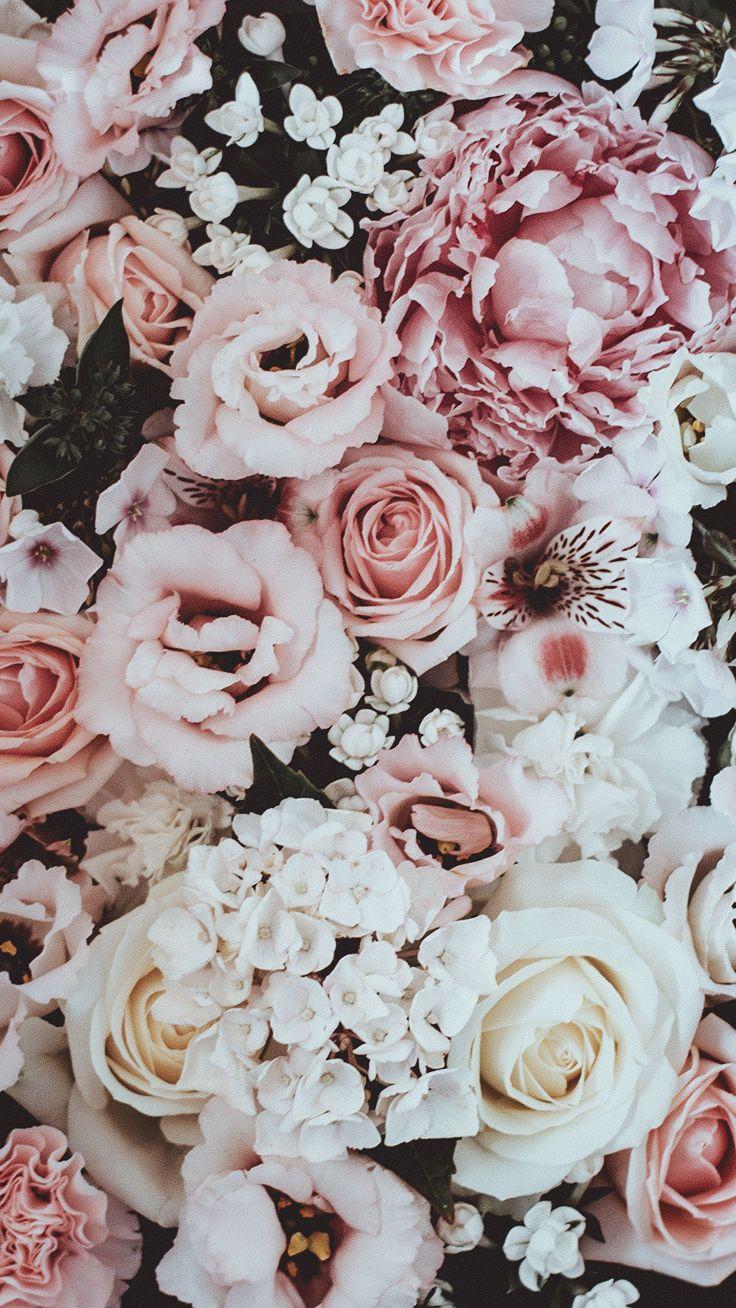 Colorful Flower iPhone Wallpapers - Top Free Colorful Flower iPhone ...