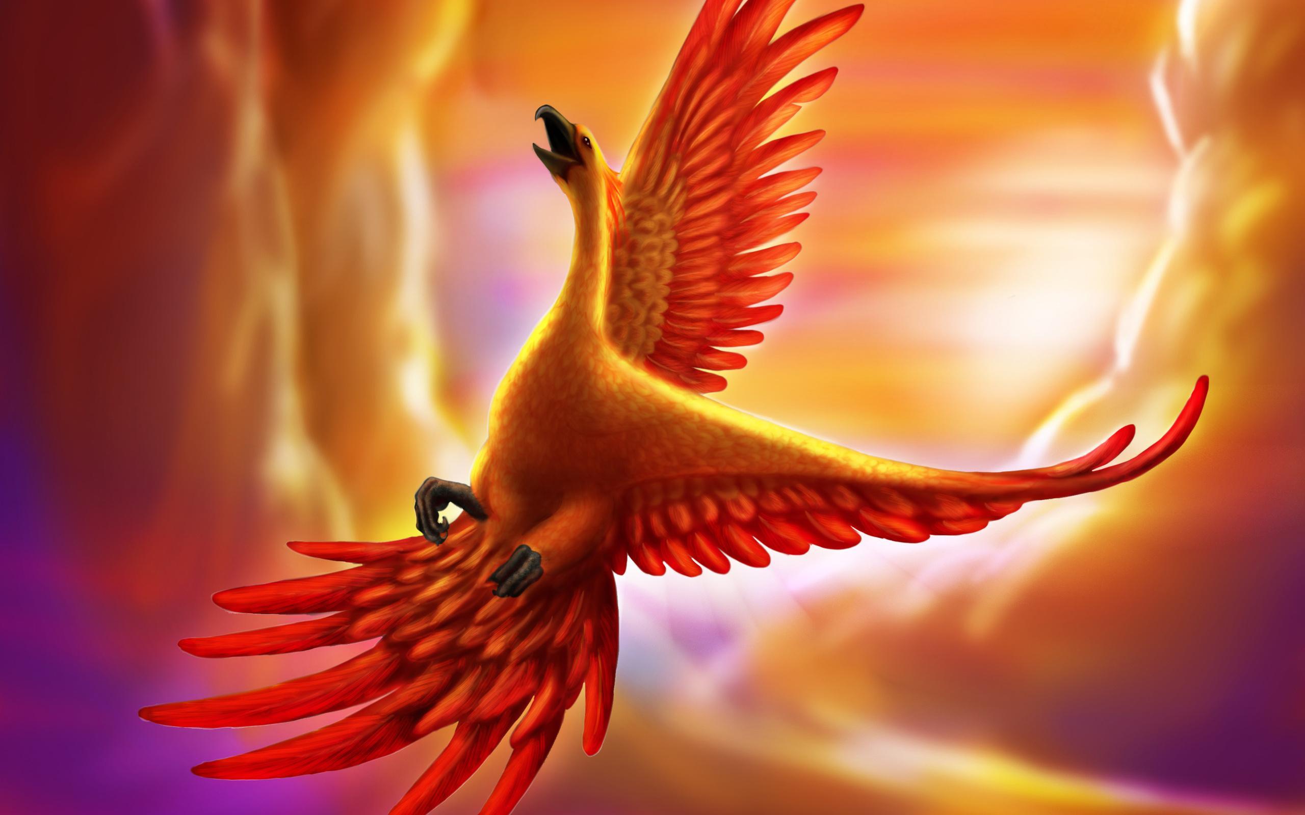 Phoenix Desktop Wallpapers - Top Free Phoenix Desktop Backgrounds ...