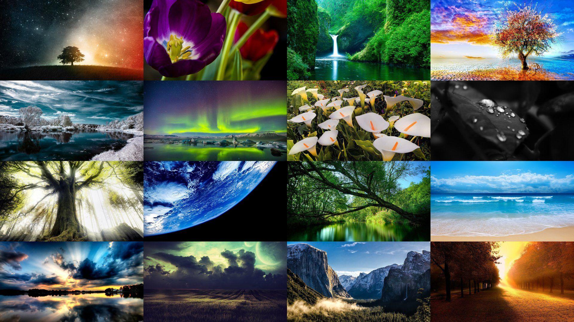 Nature Collage Wallpapers - Top Free Nature Collage Backgrounds ...