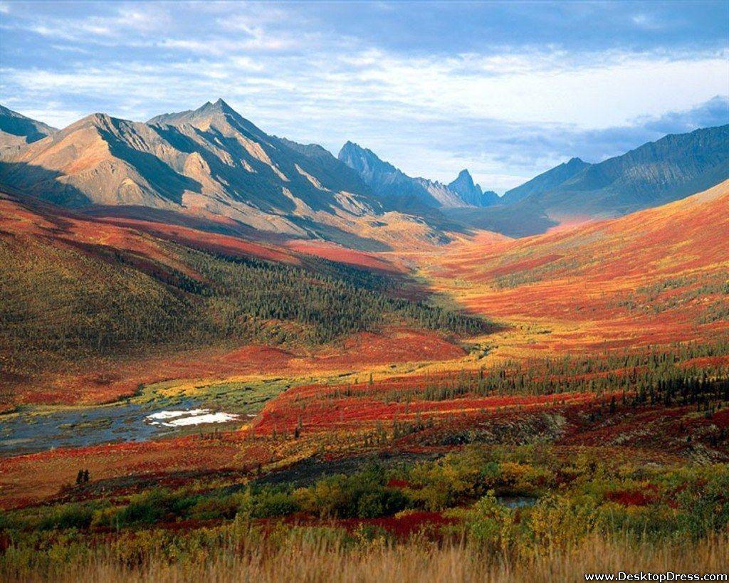 Yukon Wallpapers - Top Free Yukon Backgrounds - WallpaperAccess