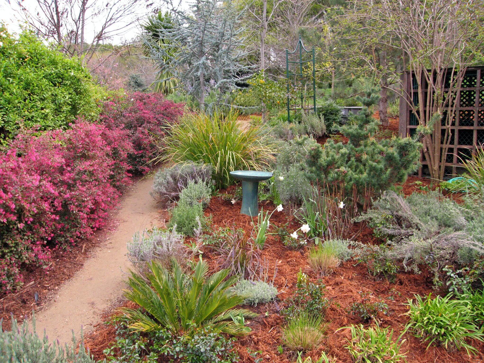 Rock Garden Wallpapers - Top Free Rock Garden Backgrounds - WallpaperAccess