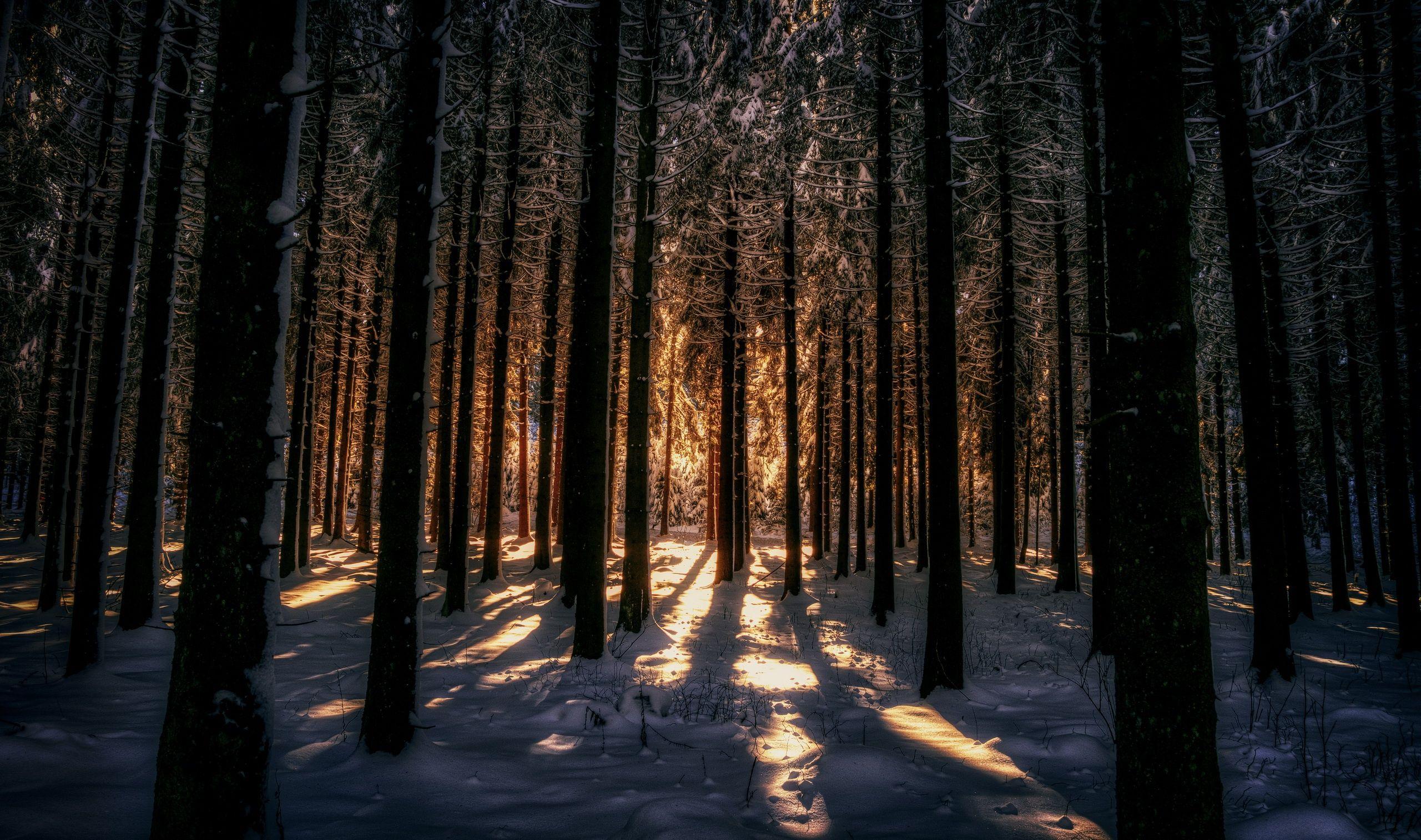 HD Dark Winter Wallpapers - Top Free HD Dark Winter Backgrounds ...
