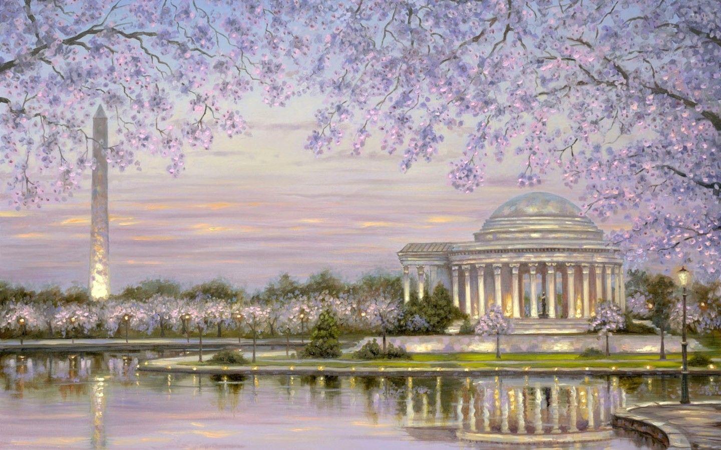 DC Cherry Blossom Desktop Wallpapers - Top Free DC Cherry Blossom ...