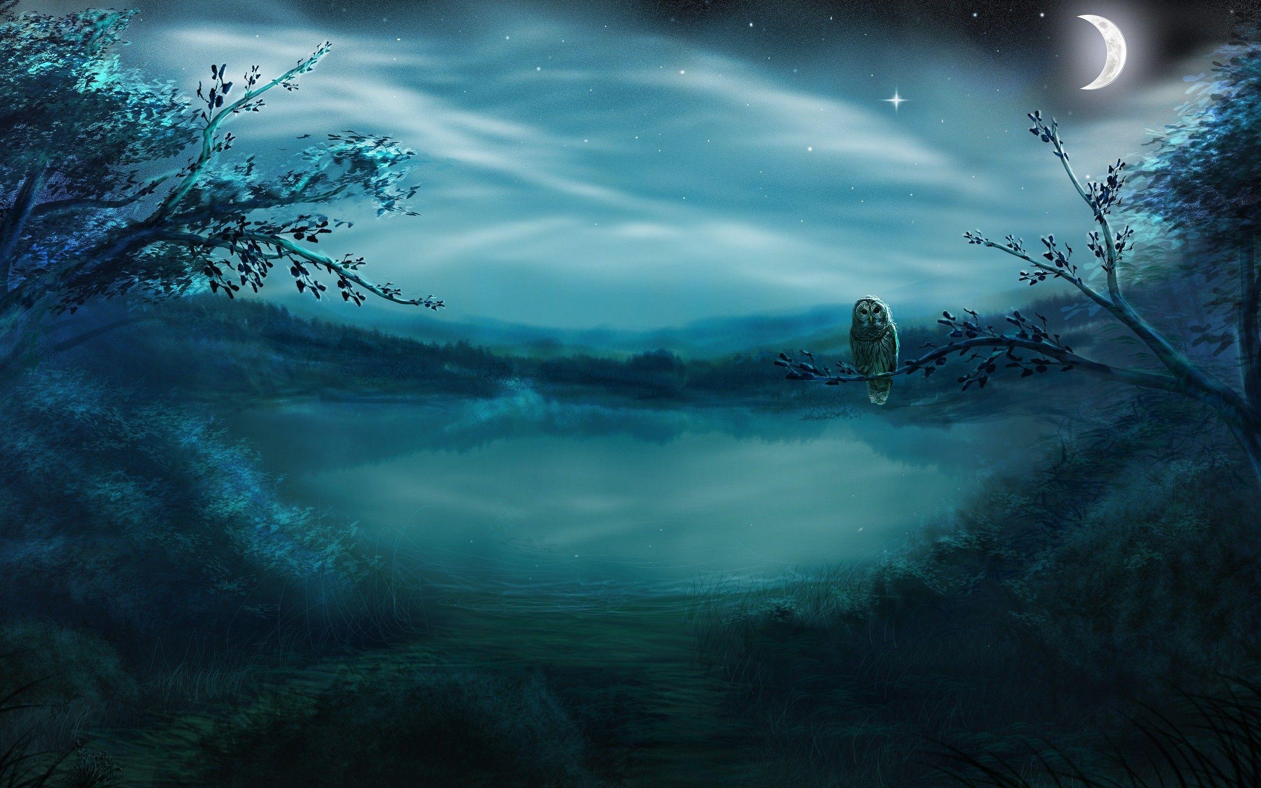 Night Moon Wallpapers - Top Free Night Moon Backgrounds - WallpaperAccess