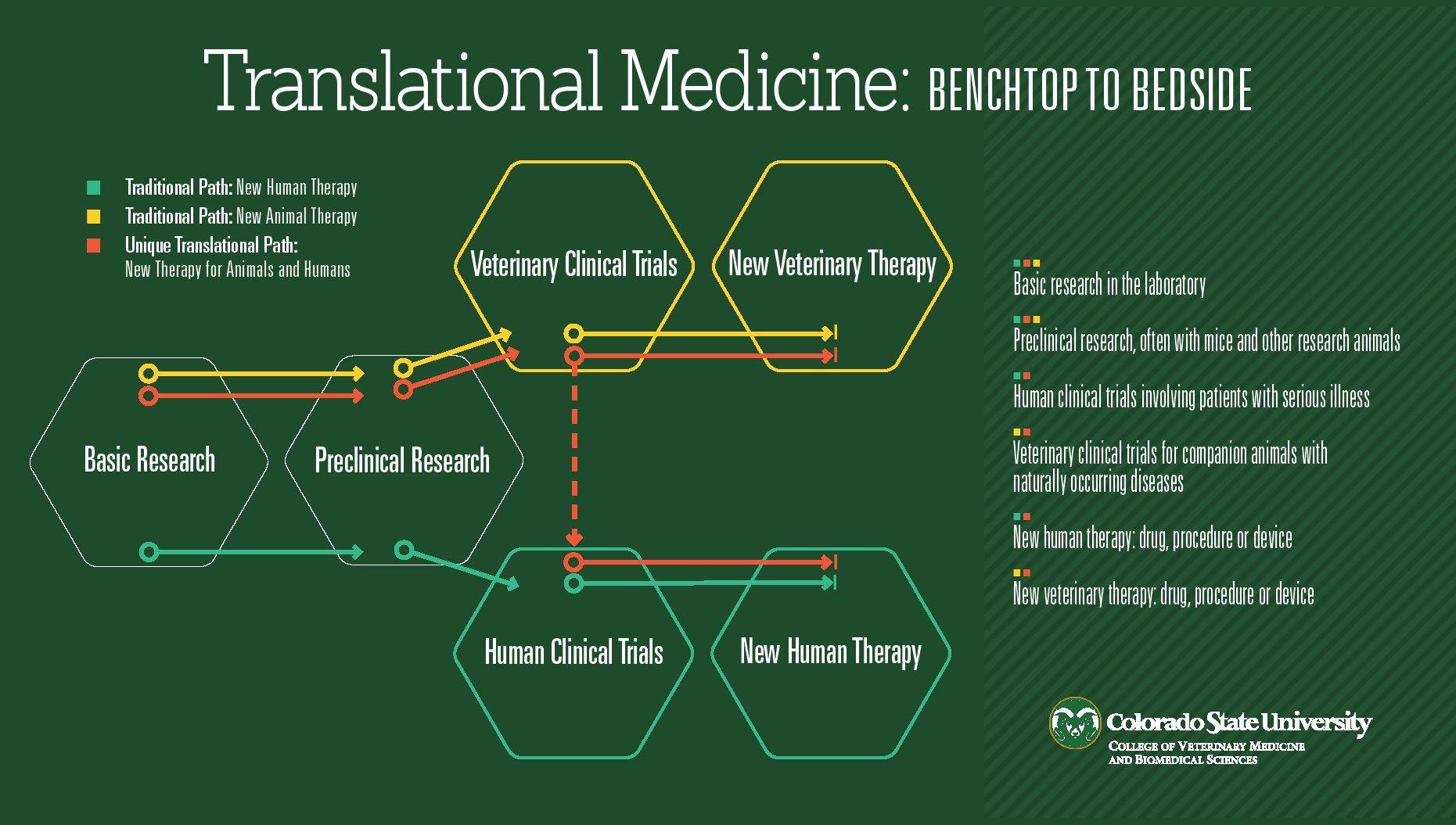 Biomedical Wallpapers - Top Free Biomedical Backgrounds - WallpaperAccess