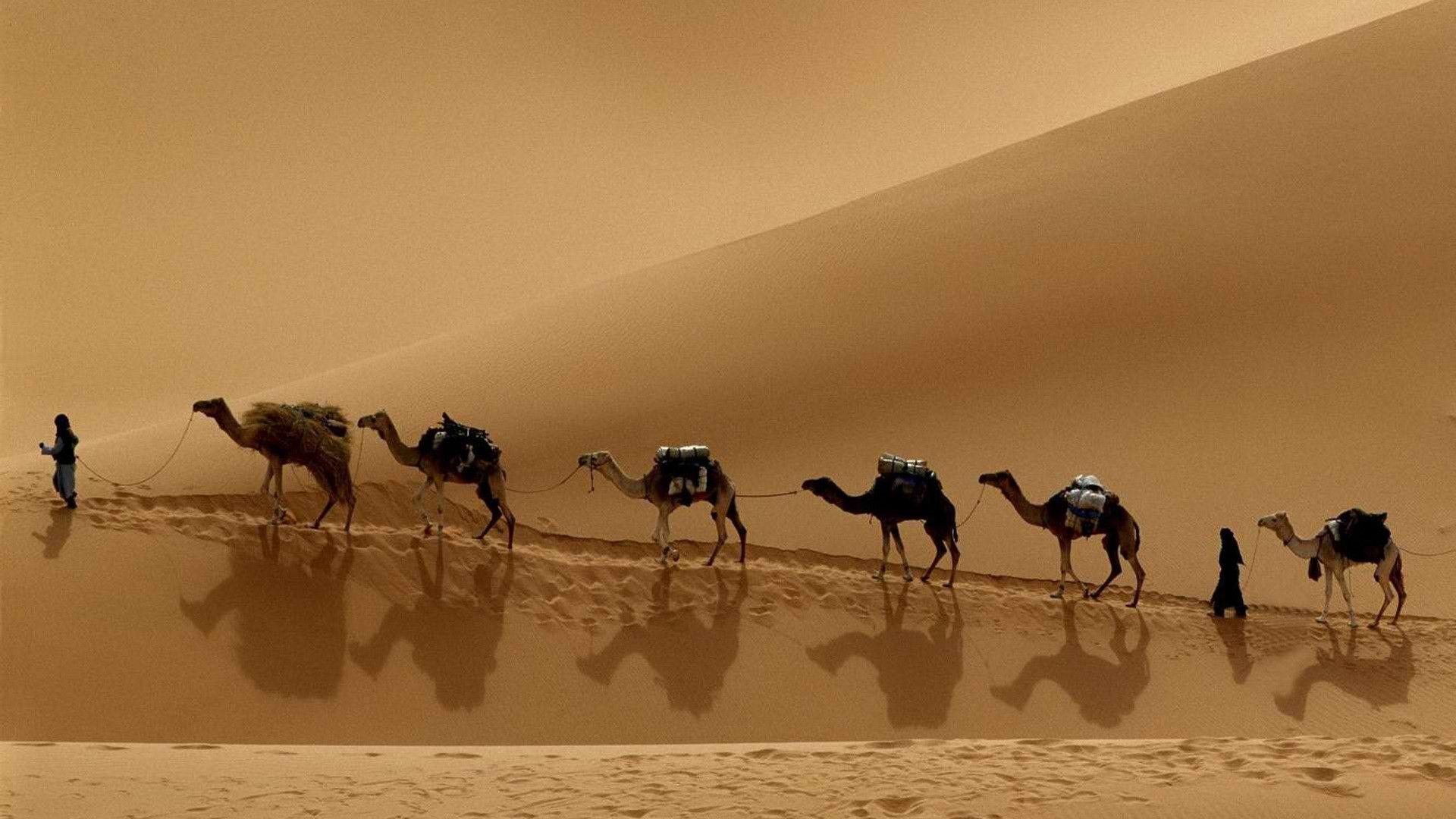 Libya Wallpapers - Top Free Libya Backgrounds - WallpaperAccess