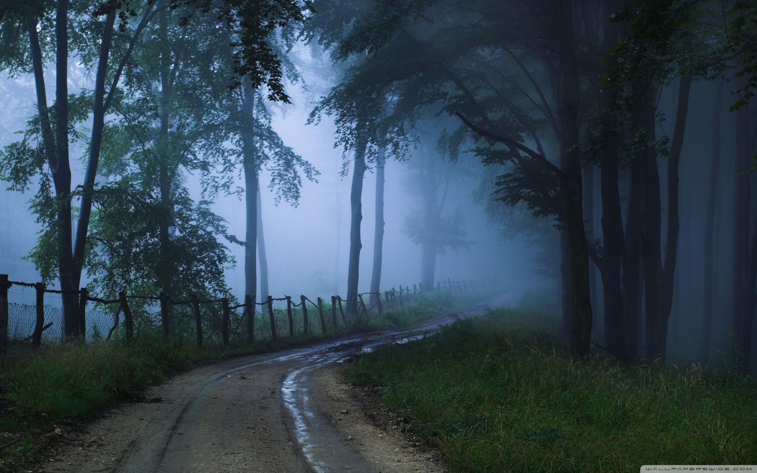 Misty Wallpapers - Top Free Misty Backgrounds - WallpaperAccess