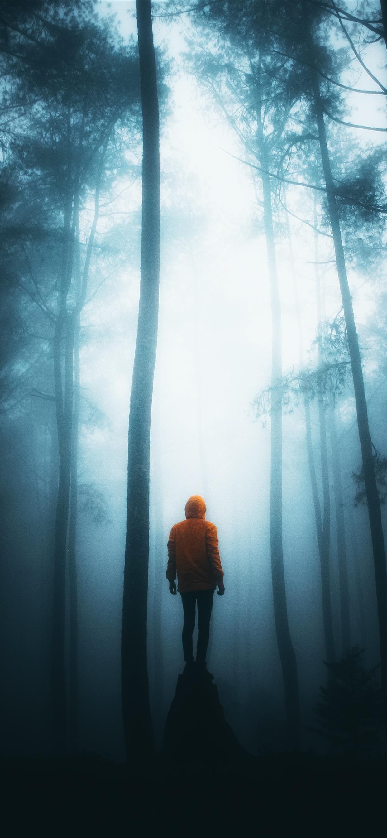 Misty Wallpapers - Top Free Misty Backgrounds - WallpaperAccess
