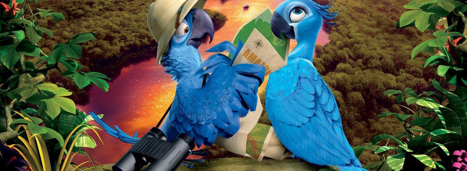 Disney Rio Wallpapers - Top Free Disney Rio Backgrounds - WallpaperAccess