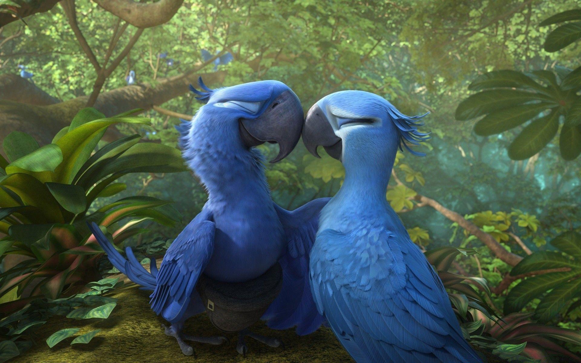 Disney Rio Wallpapers - Top Free Disney Rio Backgrounds - WallpaperAccess