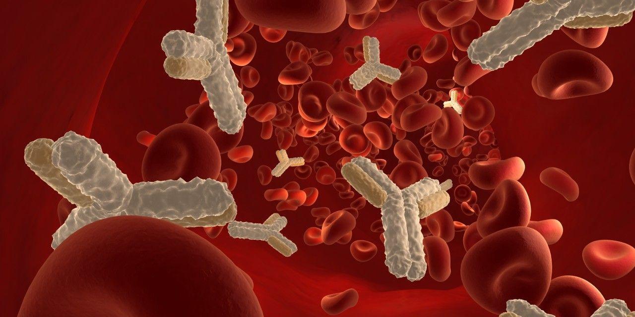 Immunology Wallpapers - Top Free Immunology Backgrounds - WallpaperAccess