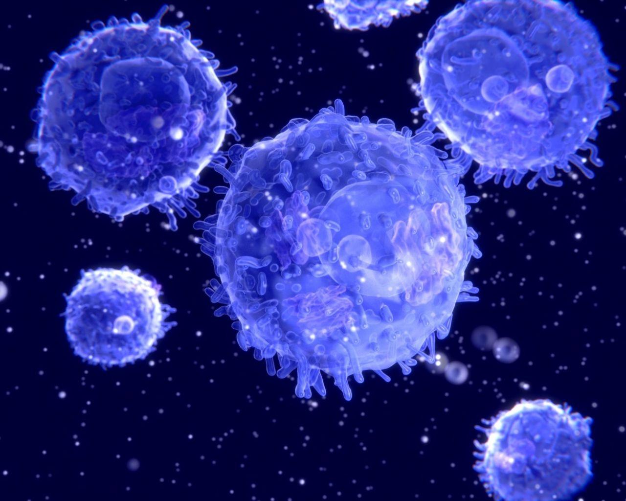 Immunology Wallpapers - Top Free Immunology Backgrounds - WallpaperAccess