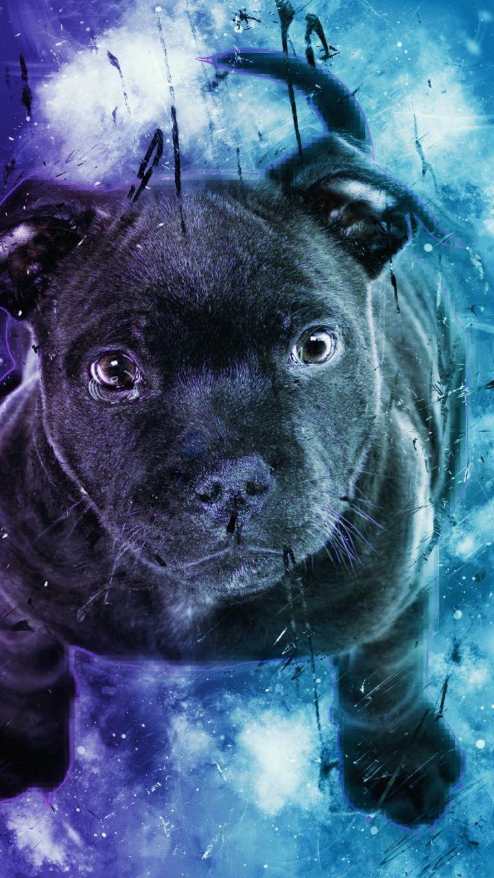 Dog Art Wallpapers - Top Free Dog Art Backgrounds - WallpaperAccess