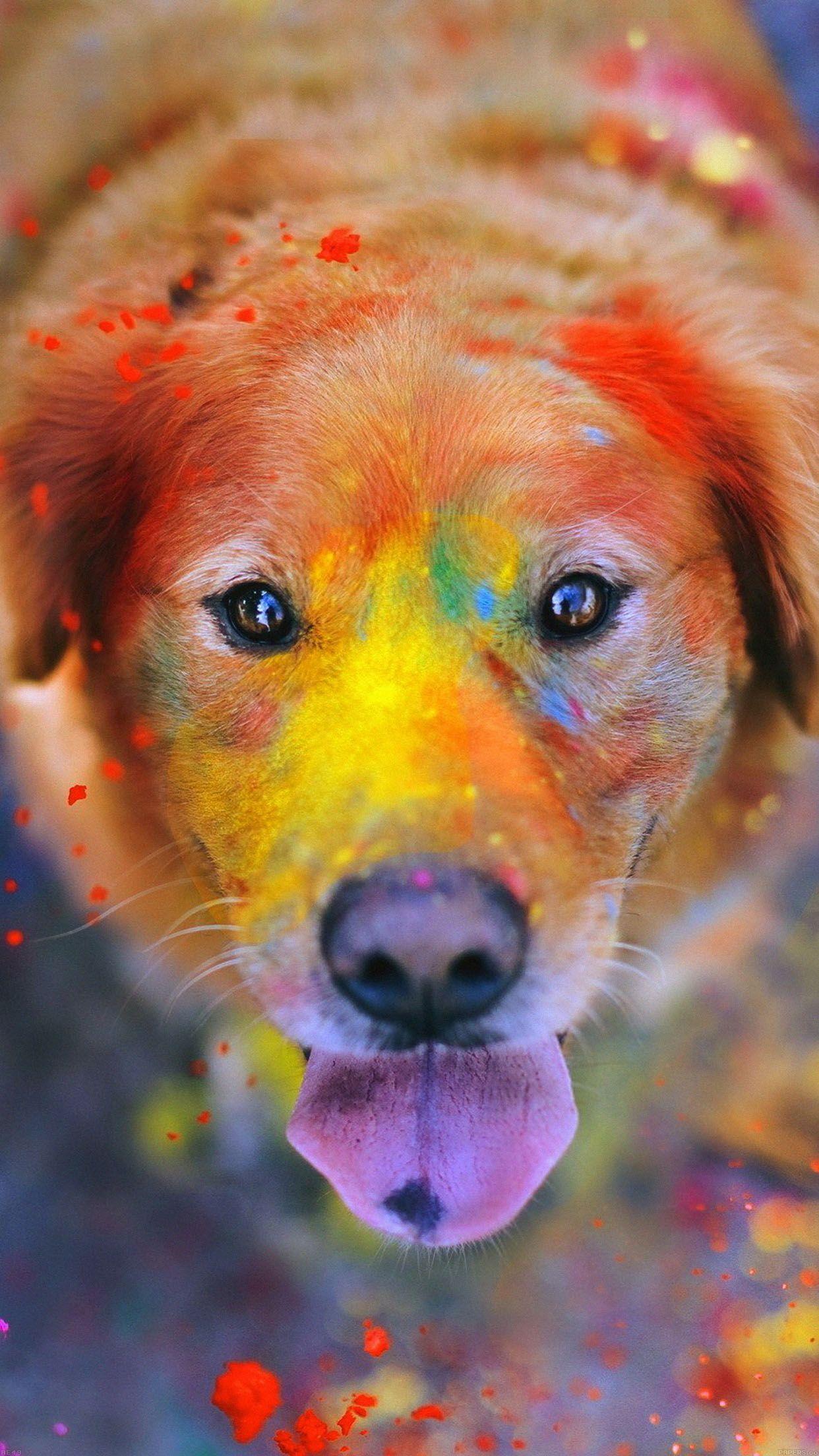 Dog Art Wallpapers - Top Free Dog Art Backgrounds - WallpaperAccess