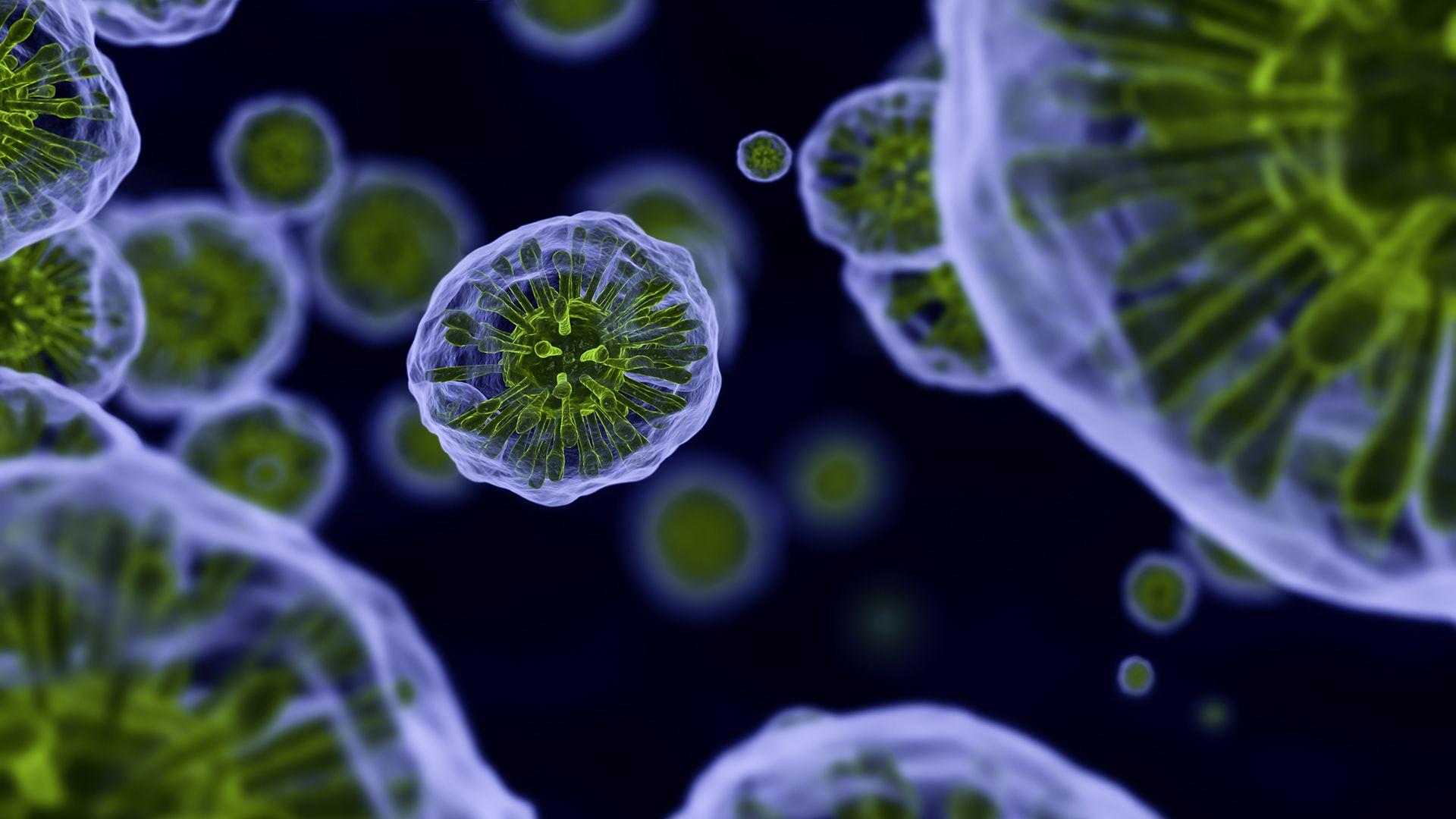 Cell Biology Wallpapers - Top Free Cell Biology Backgrounds ...